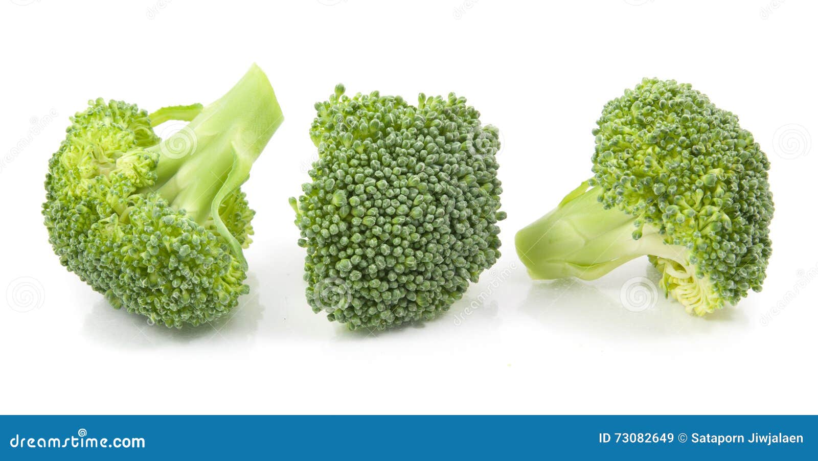Broccoli branch isolated stock image. Image of fresh - 73082649