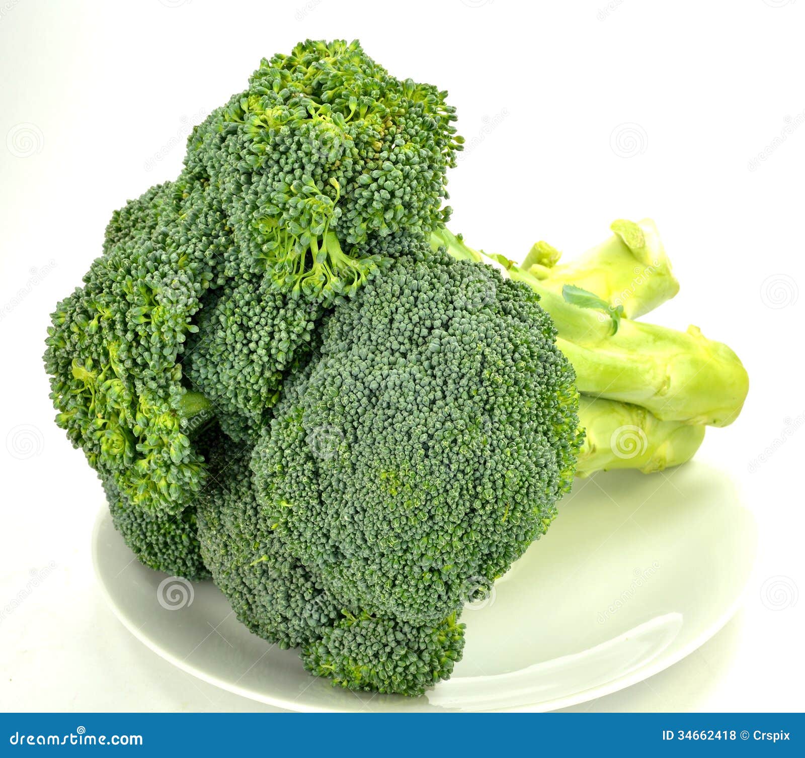 Broccoli stock photo. Image of white, bunch, vegetable - 34662418