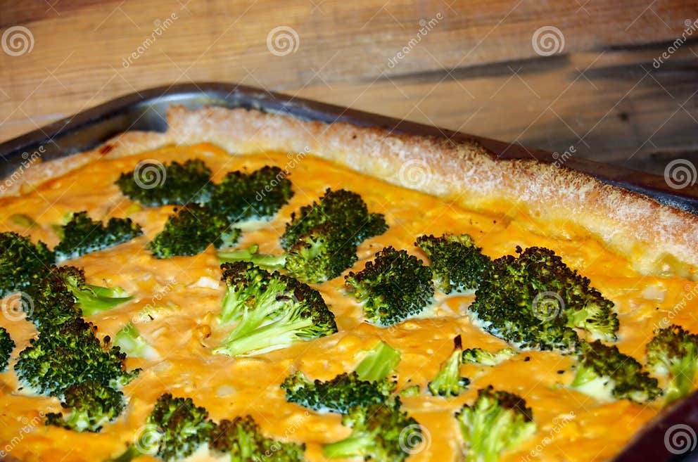 Broccoli cake on plate stock image. Image of cheesecake - 53304599