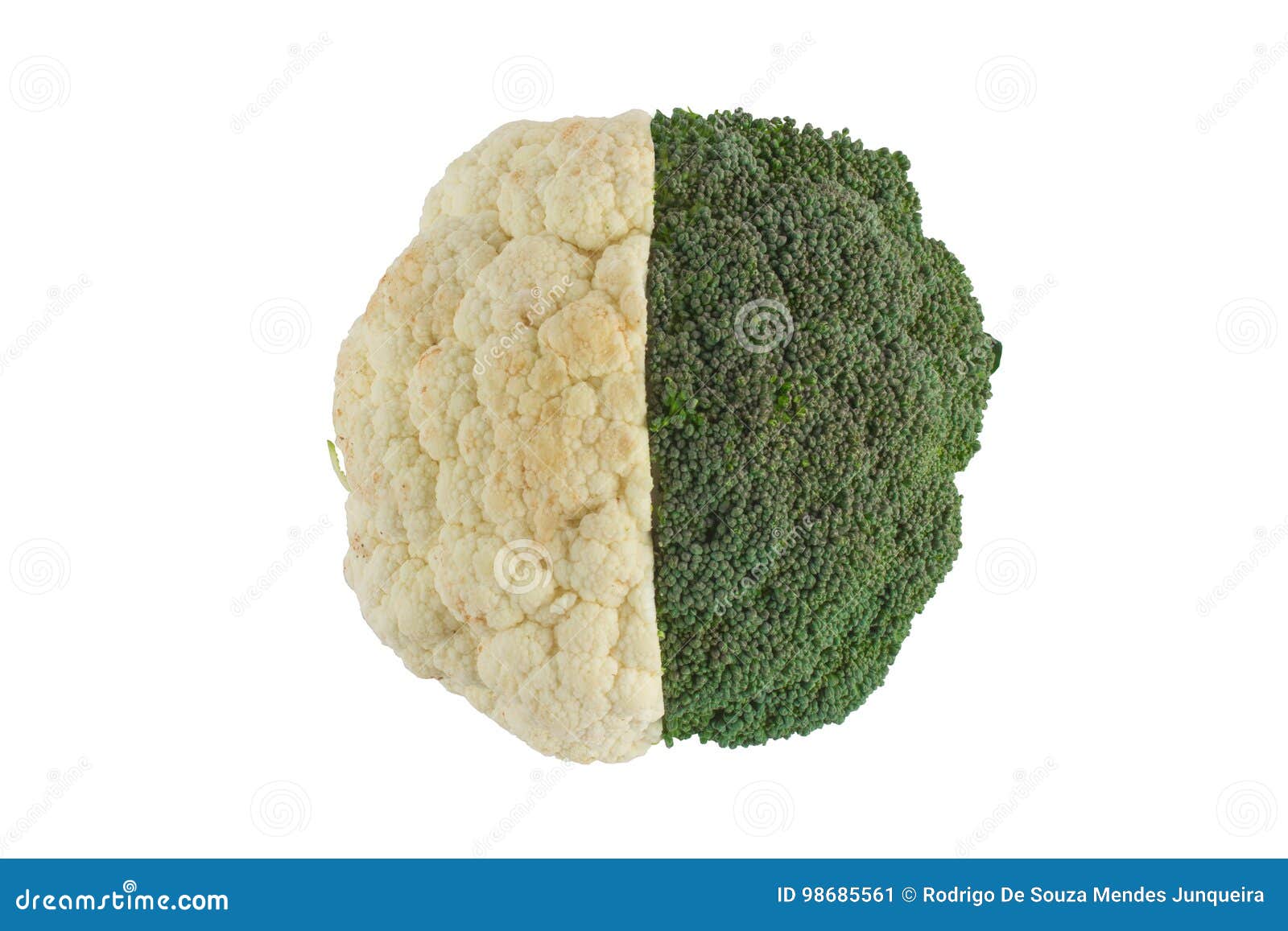 Broccoli and Cauliflower. Brain Shape Stock Image - Image of mind ...