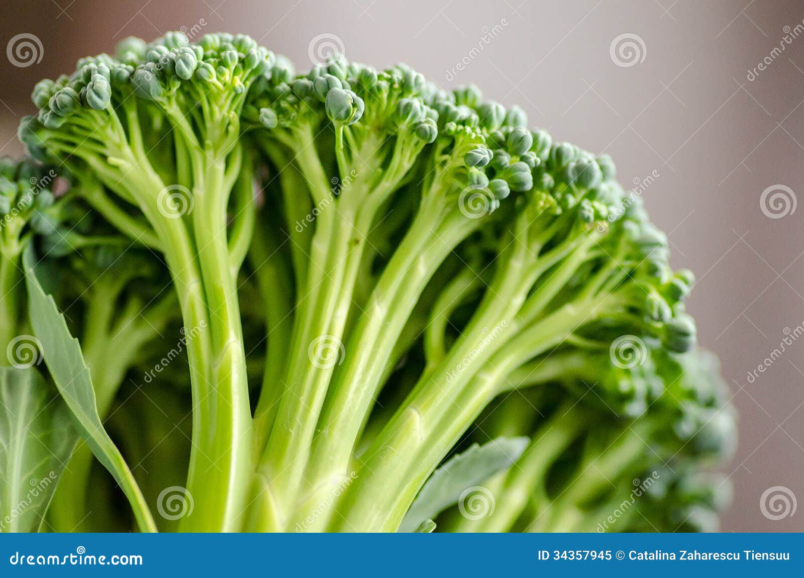 Broccoli close-up stock image. Image of broccolo, leaves - 34357945