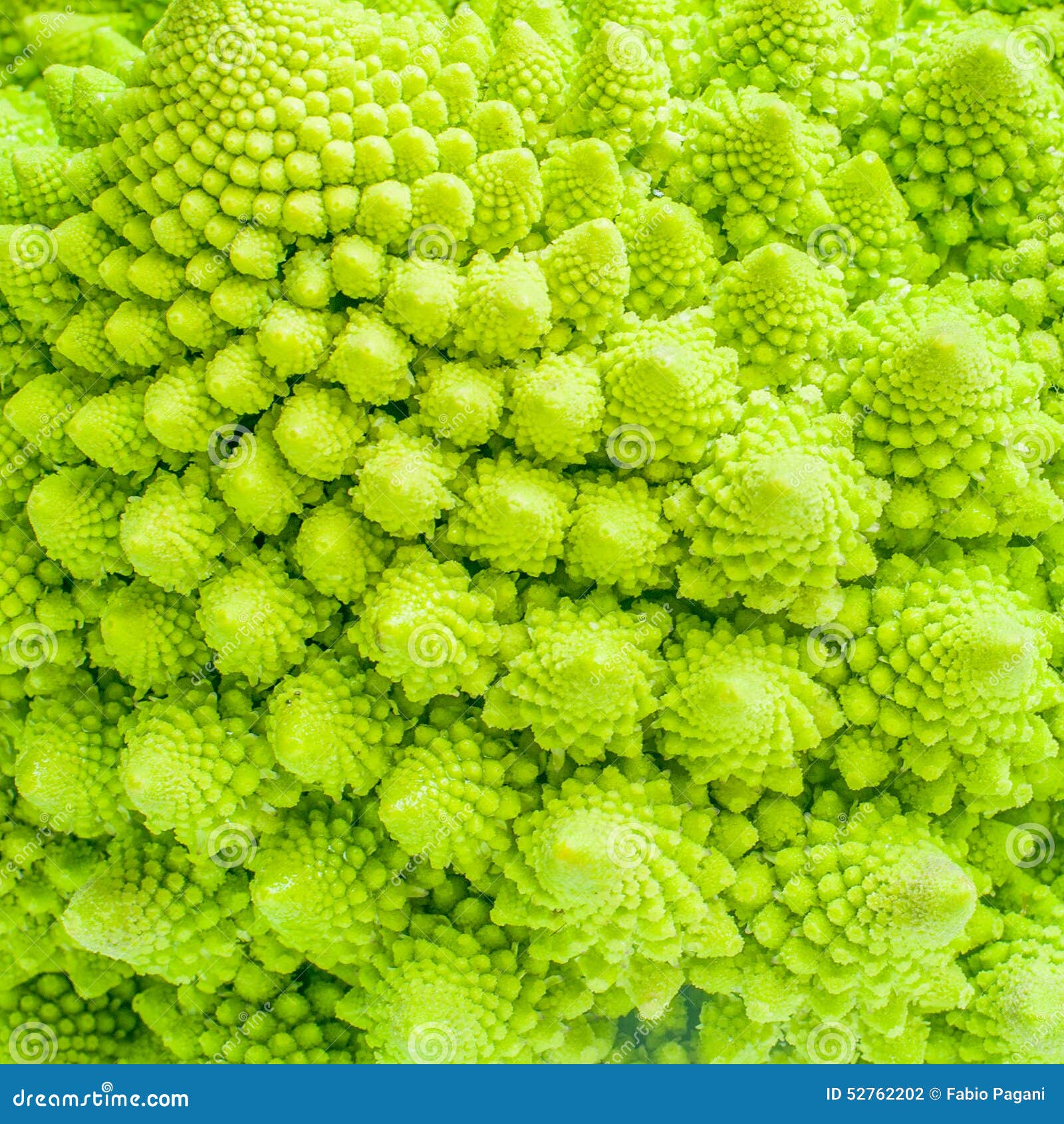 Broccoli Close Up Texture Fractal Background Stock Photo - Image of ...