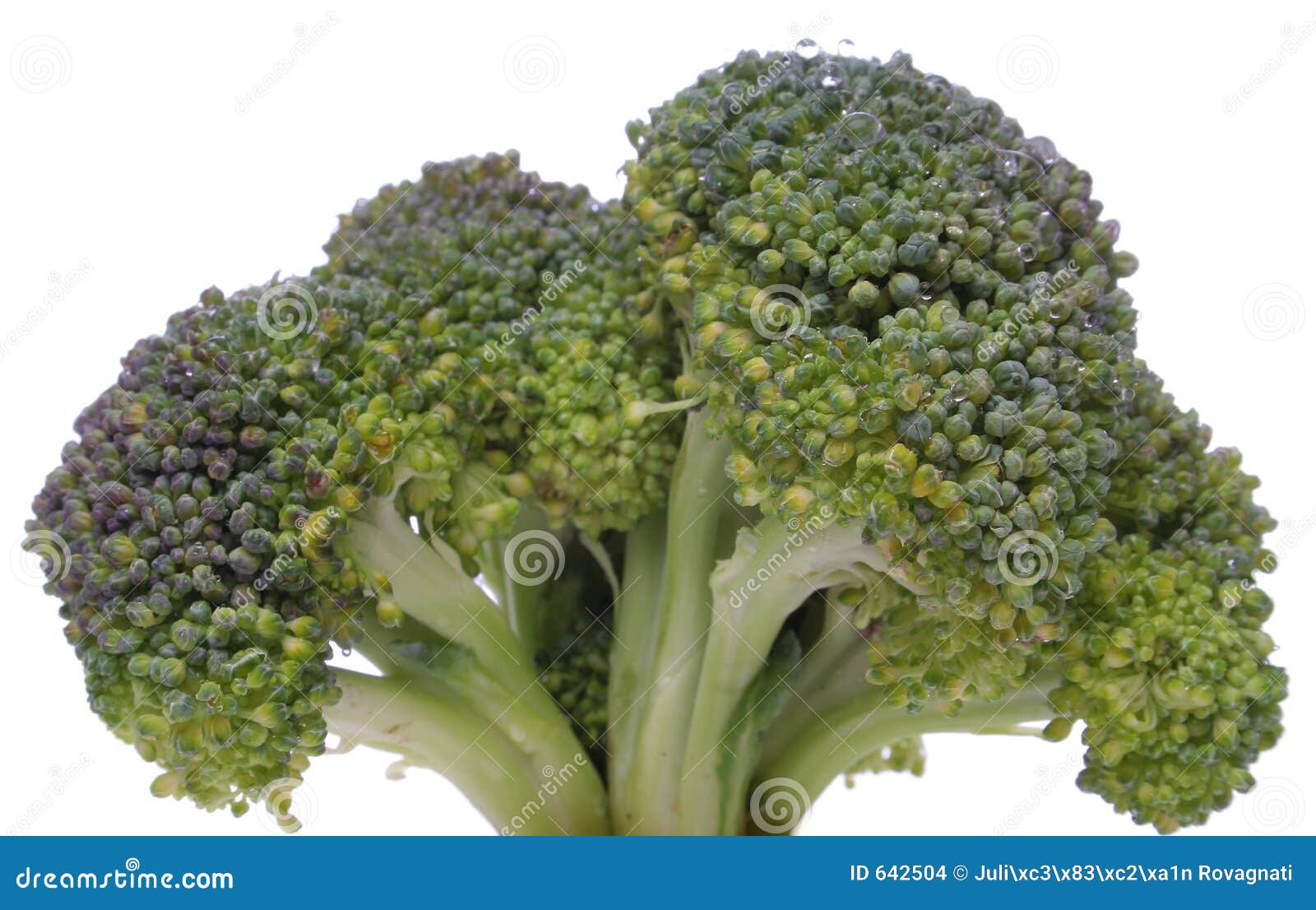 Broccoli Closeup Looking Like A Tree Picture. Image: 642504