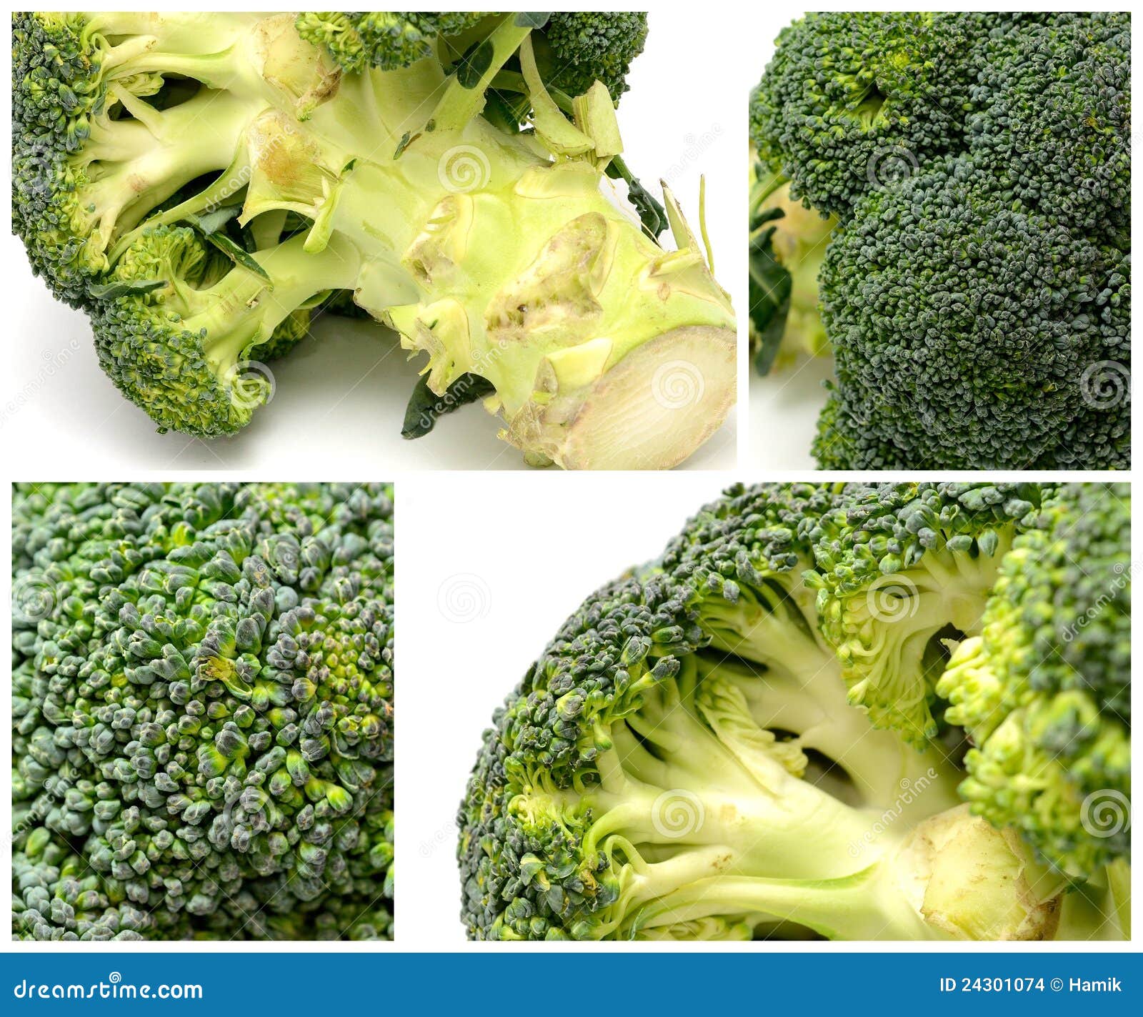Broccoli colage stock photo. Image of rectangle, collage - 24301074