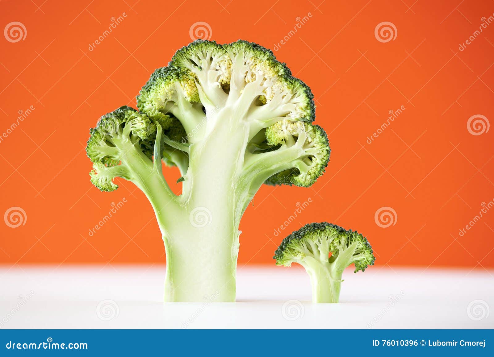 Broccoli stock photo. Image of tree, healthy, vertical - 76010396