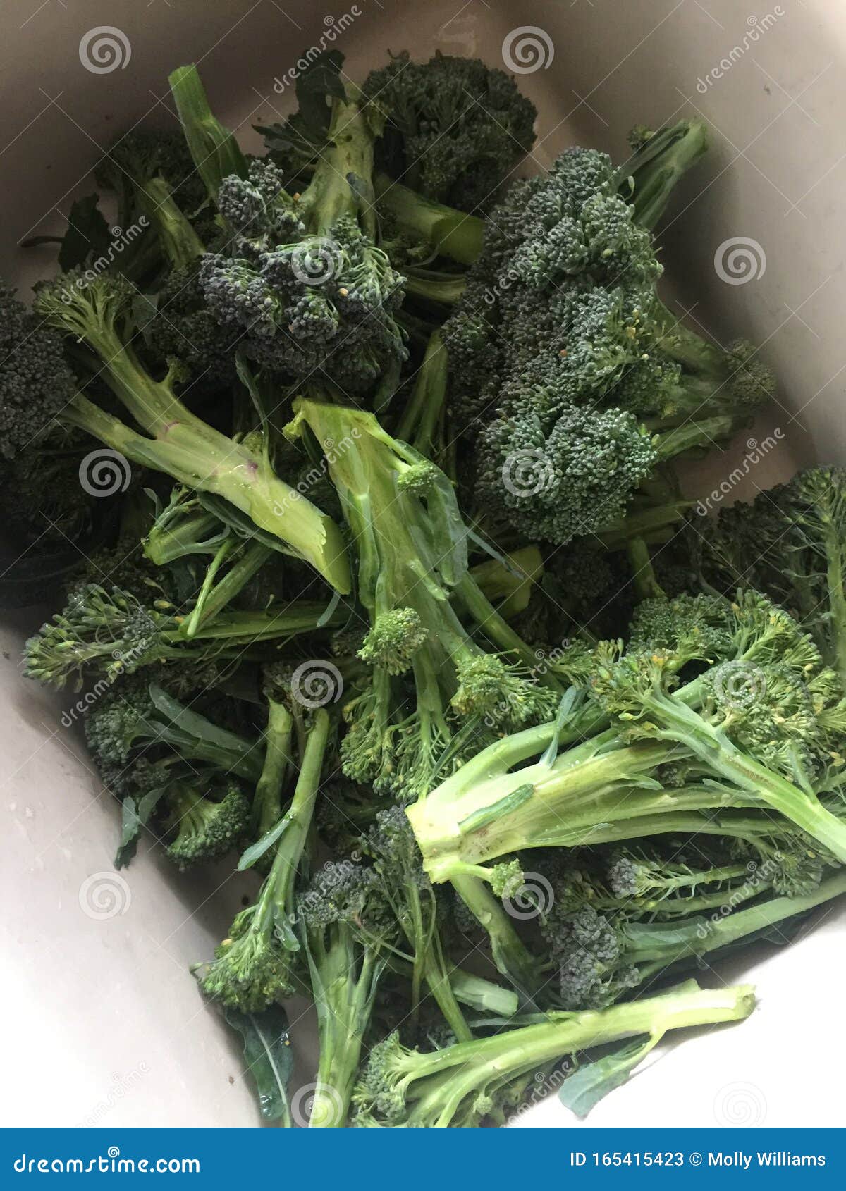 Broccoli crowns stock image. Image of ready, picked - 165415423
