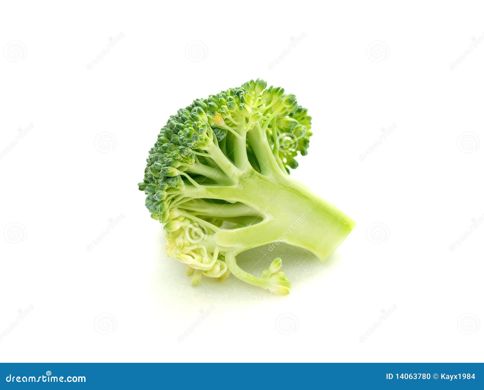 Broccoli cut stock photo. Image of lifestyle, loss, healthy - 14063780