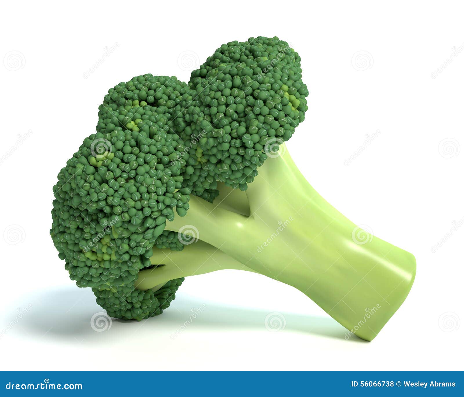 Broccoli stock illustration. Illustration of green, vegetable - 56066738