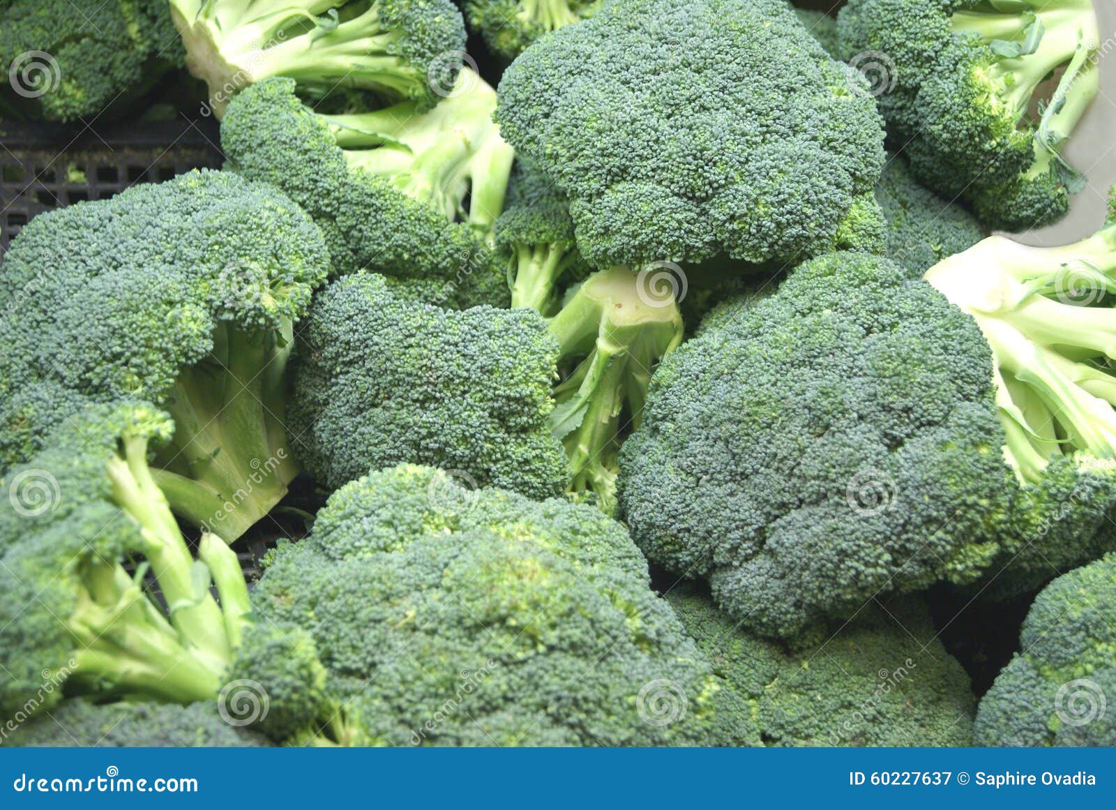 Broccoli stock image. Image of agricultural, shopping - 60227637