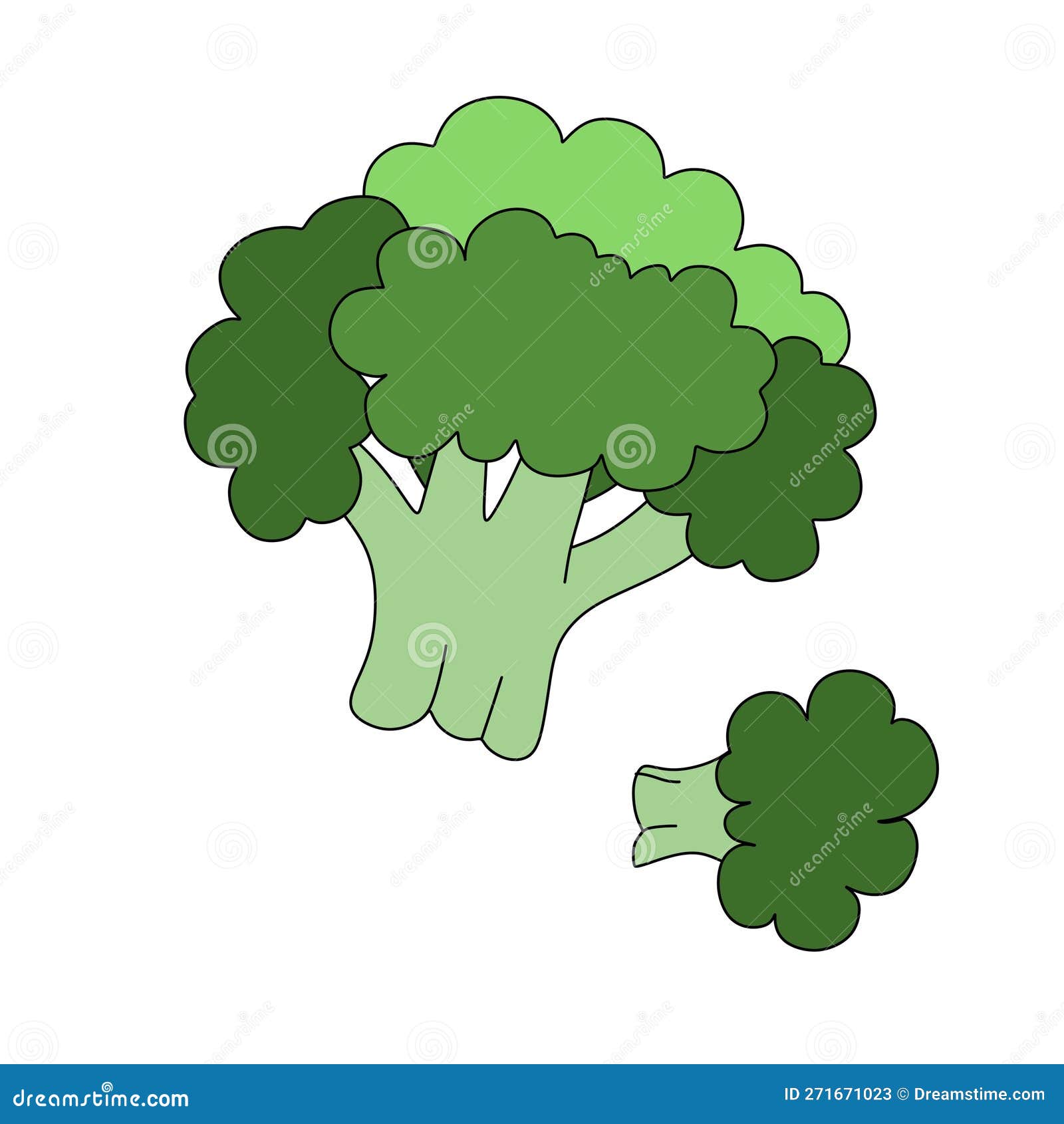 Broccoli Doodle Vector Color Illustration Isolated on White Background ...