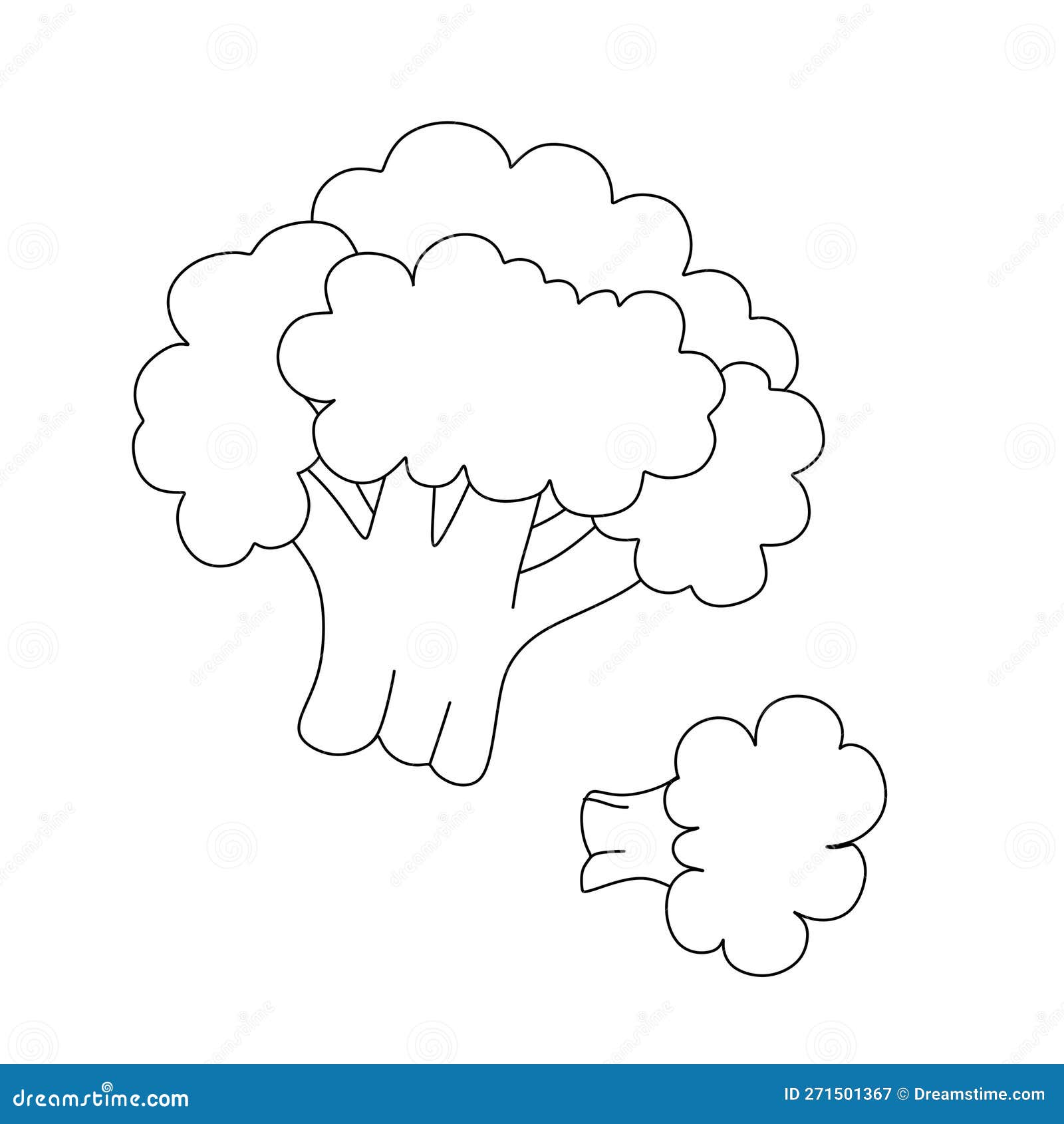 Broccoli Doodle Vector Illustration Coloring Book for Kids Stock Vector ...