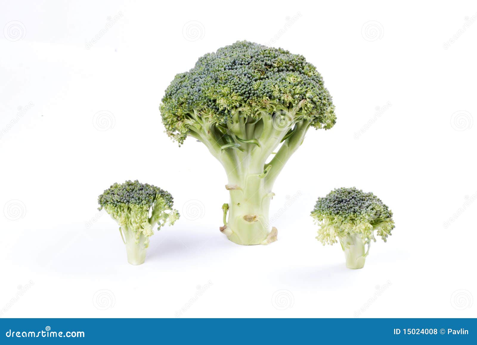Broccoli En Haar Jonge Geitjes Stock Foto - Image of gebladerte, studio ...
