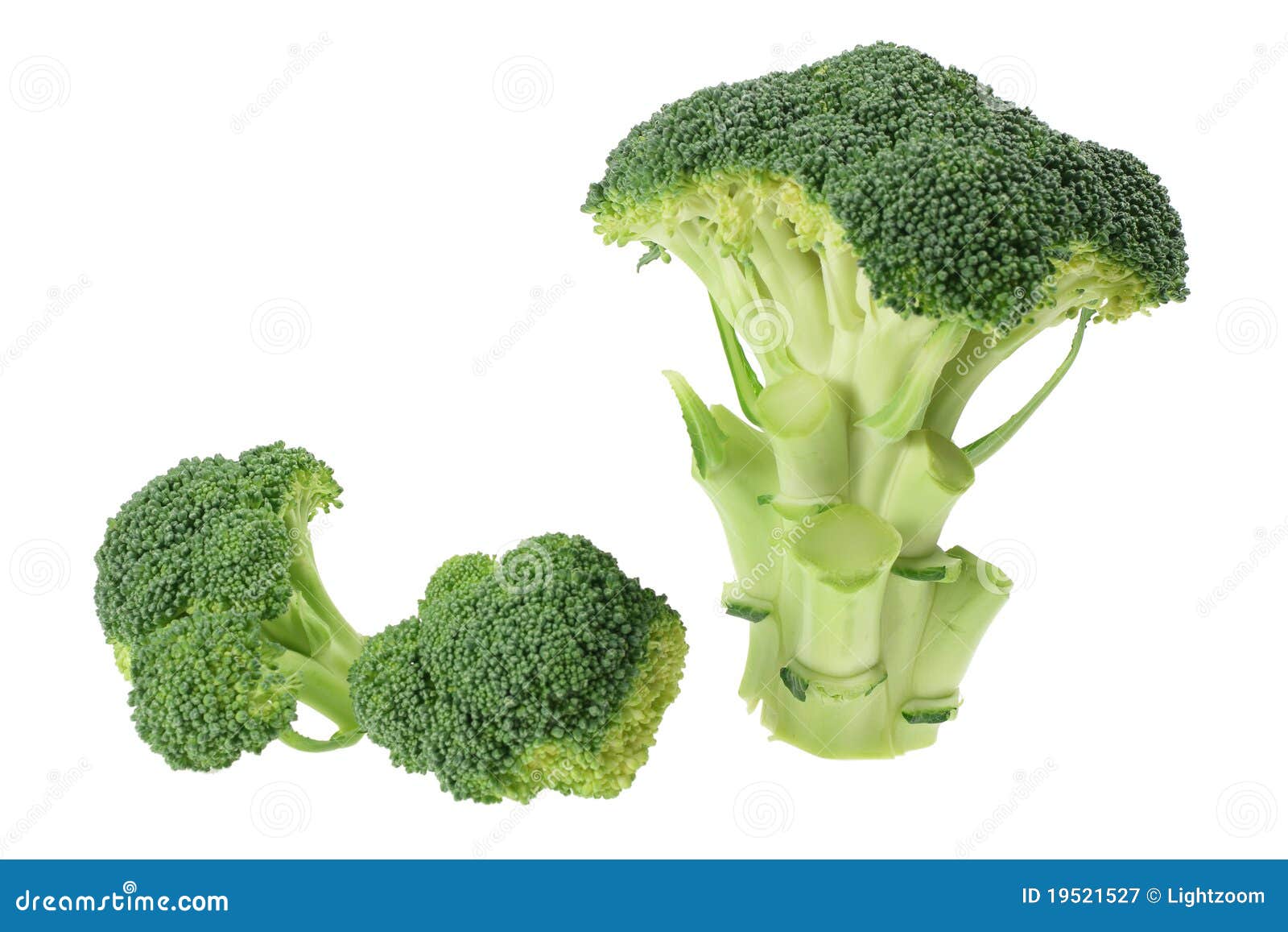 Broccoli Florets stock image. Image of nutrition, wholesome - 19521527