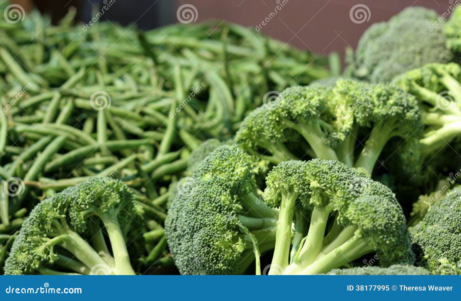 Broccoli Florets stock image. Image of stand, florets - 38177995