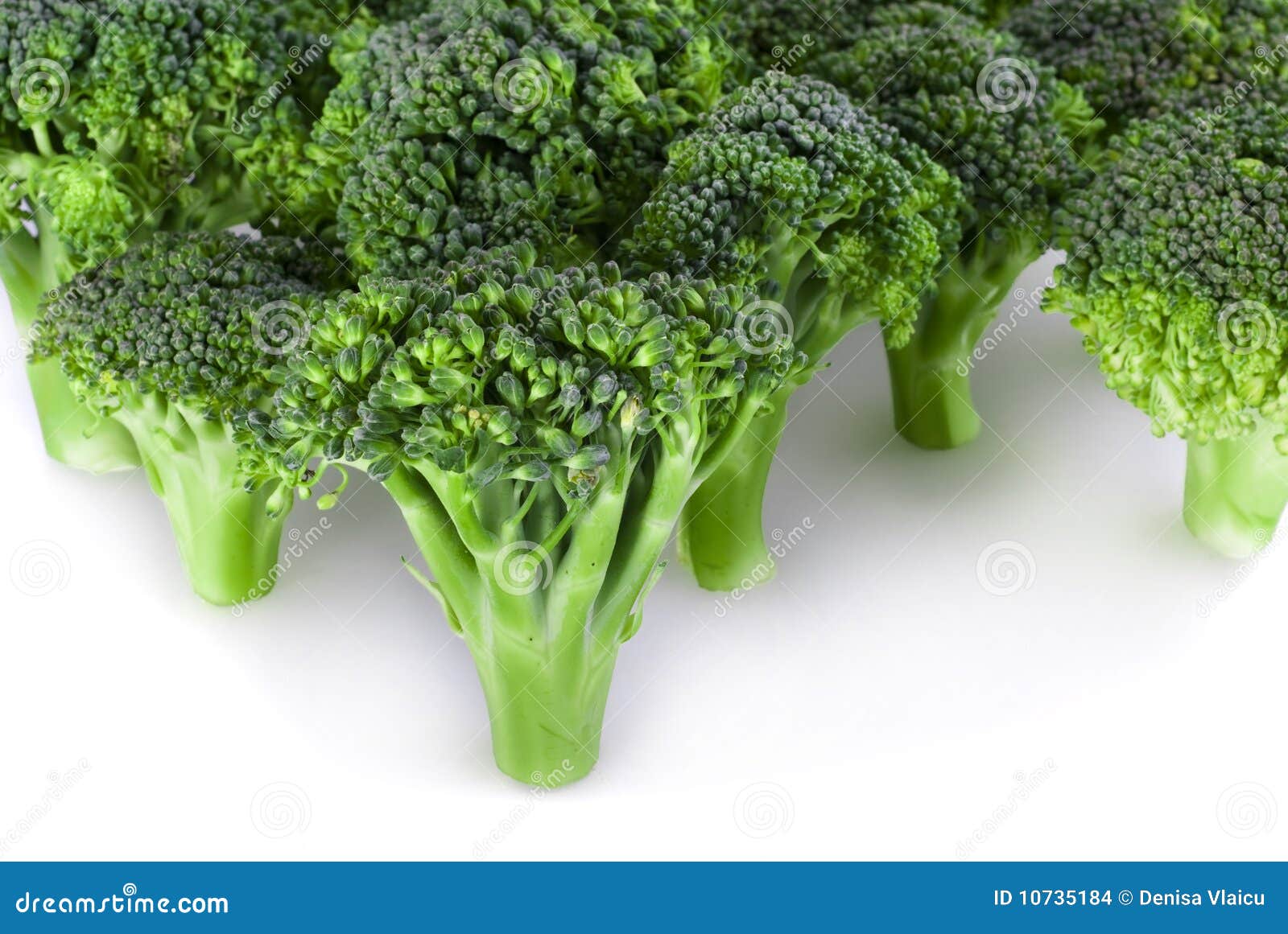 Broccoli forest stock photo. Image of weight, nourishing - 10735184