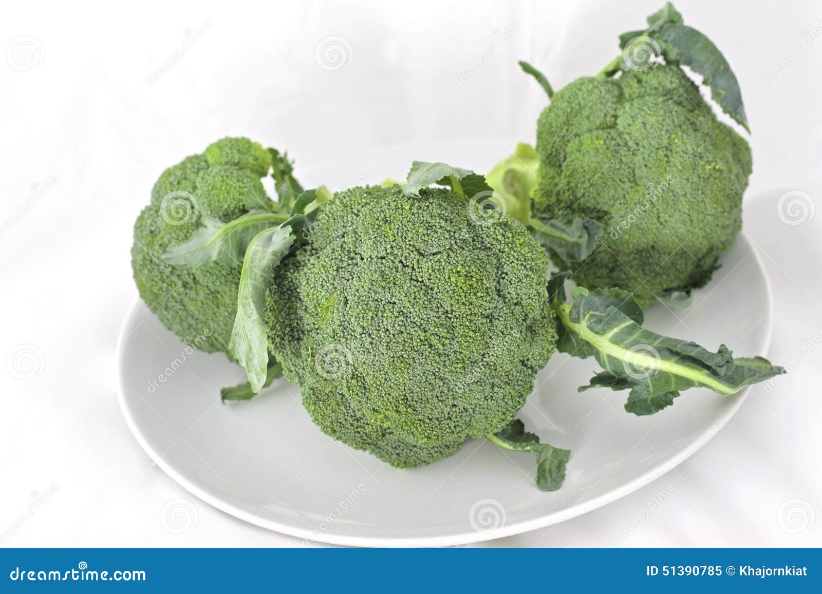 Broccoli stock image. Image of white, square, green, vegetable - 51390785