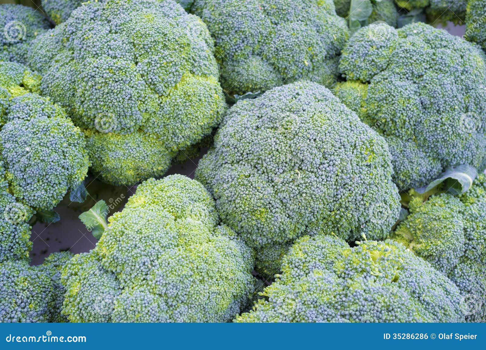Broccoli stock photo. Image of horizontal, ingredient - 35286286