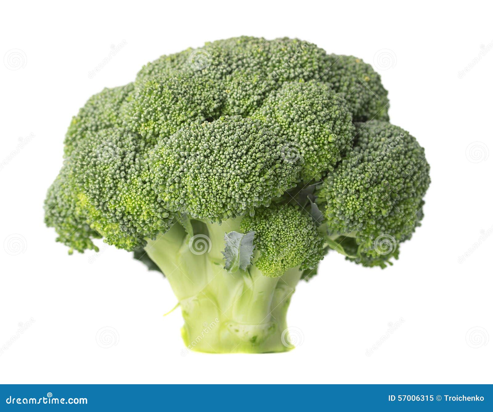 Broccoli green isolated stock image. Image of natural - 57006315
