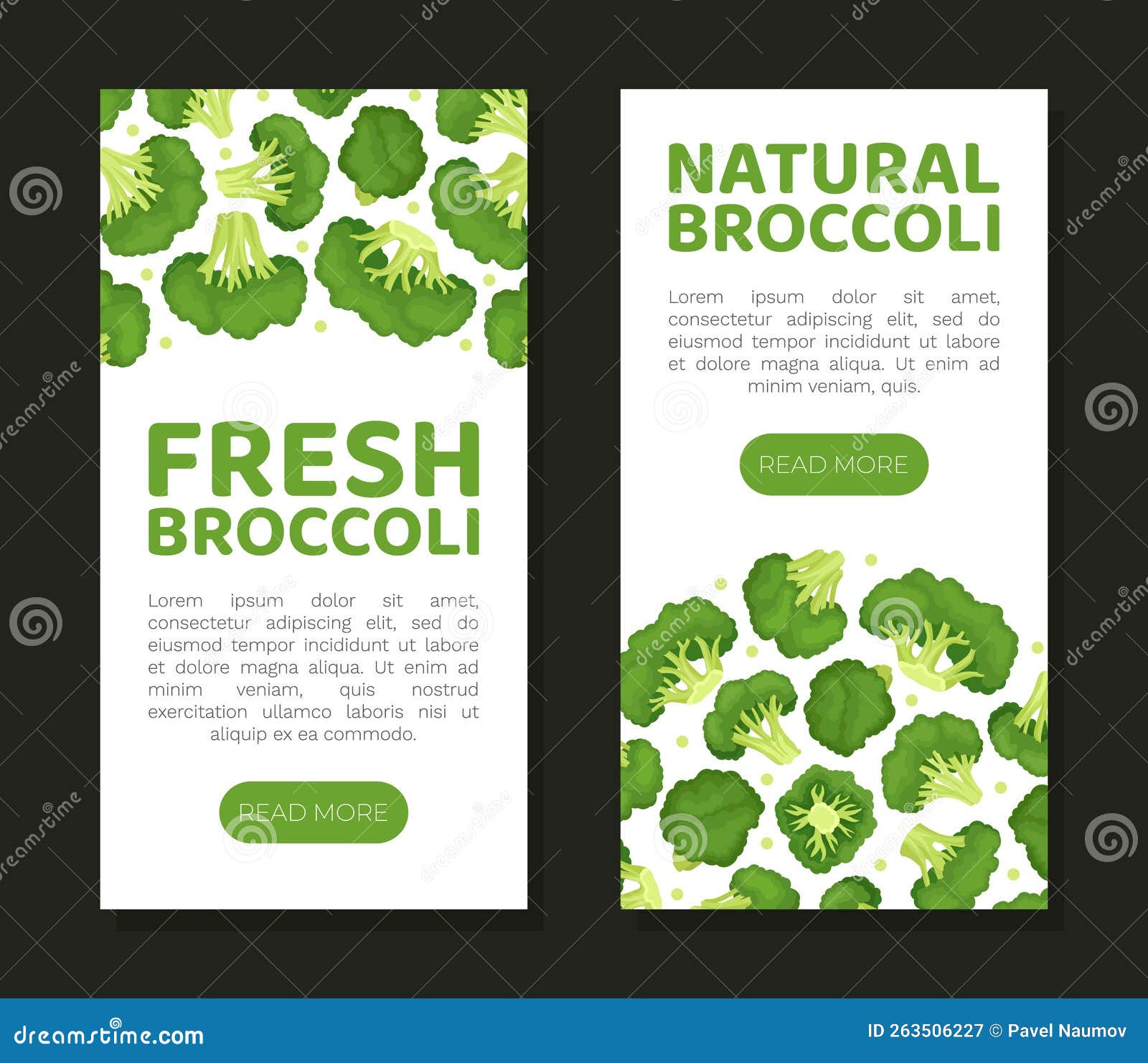 Broccoli Green Vegetable Design with Cabbage Head Vector Template Stock ...