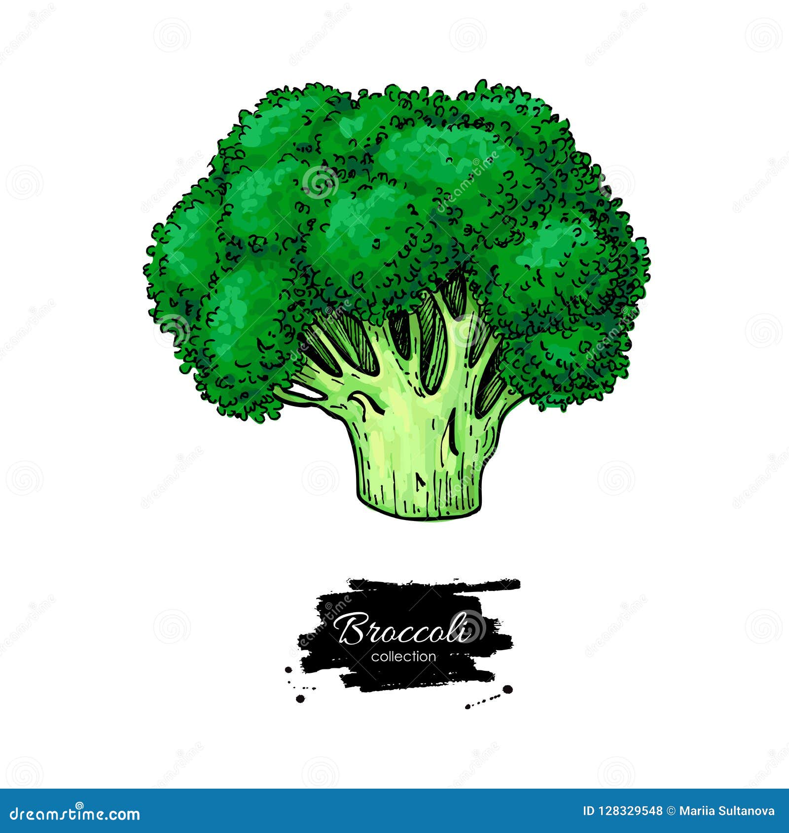 Broccoli Hand Drawn Vector Illustration. Vegetable Drawing Stock Vector ...