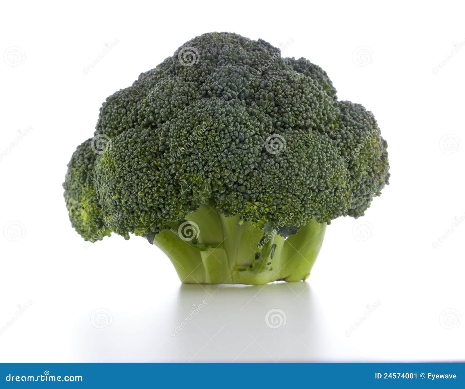 Broccoli Head stock image. Image of green, white, nutrition - 24574001