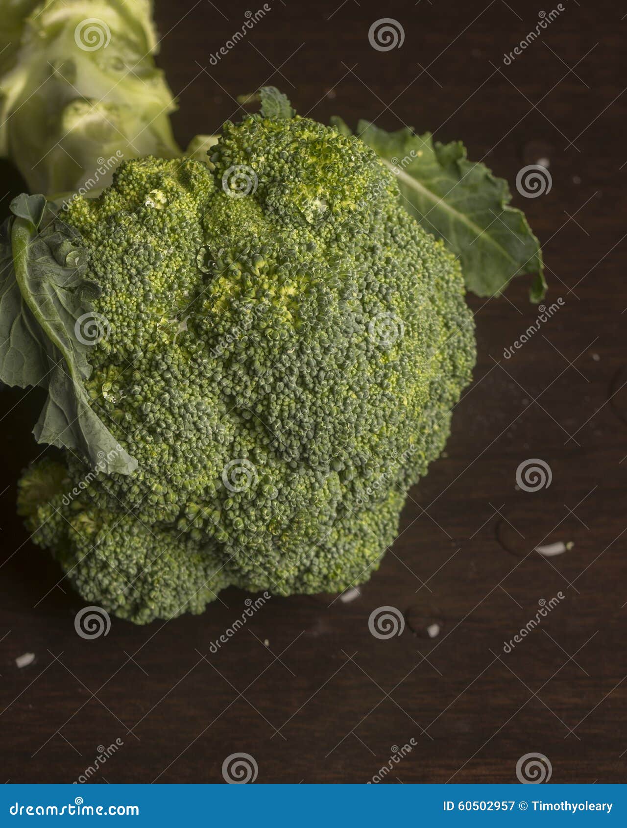 Broccoli stock image. Image of broccoli, healthy, organic - 60502957