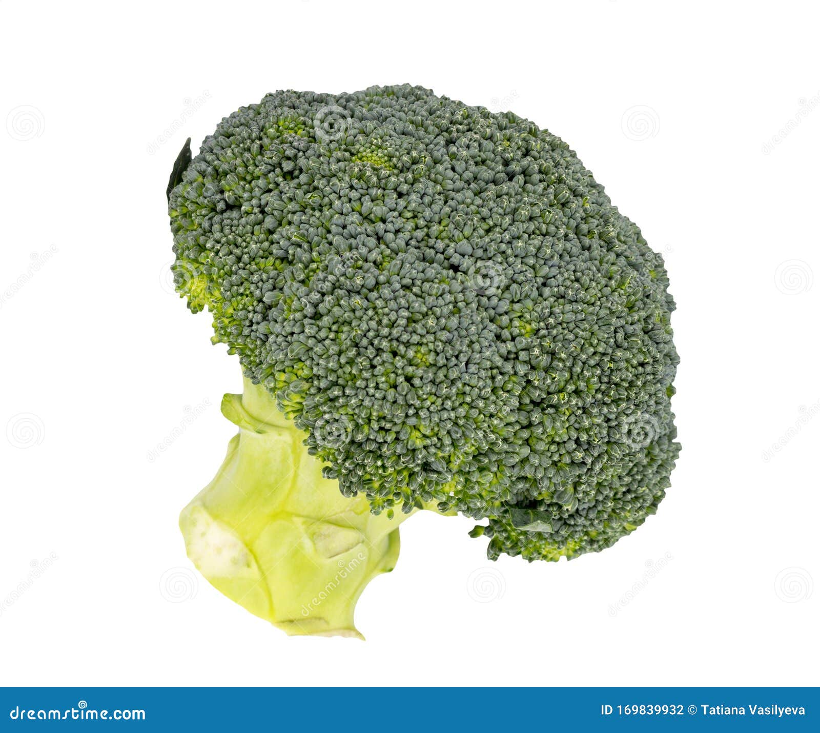 Broccoli Head Isolated on a White Stock Photo - Image of natural ...