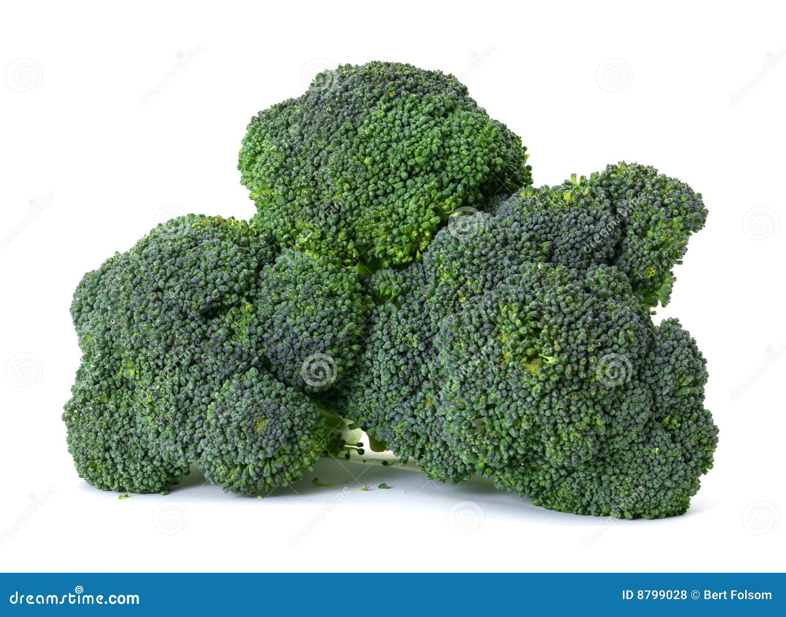 Broccoli heads stock photo. Image of stalk, healthy, nutritious - 8799028