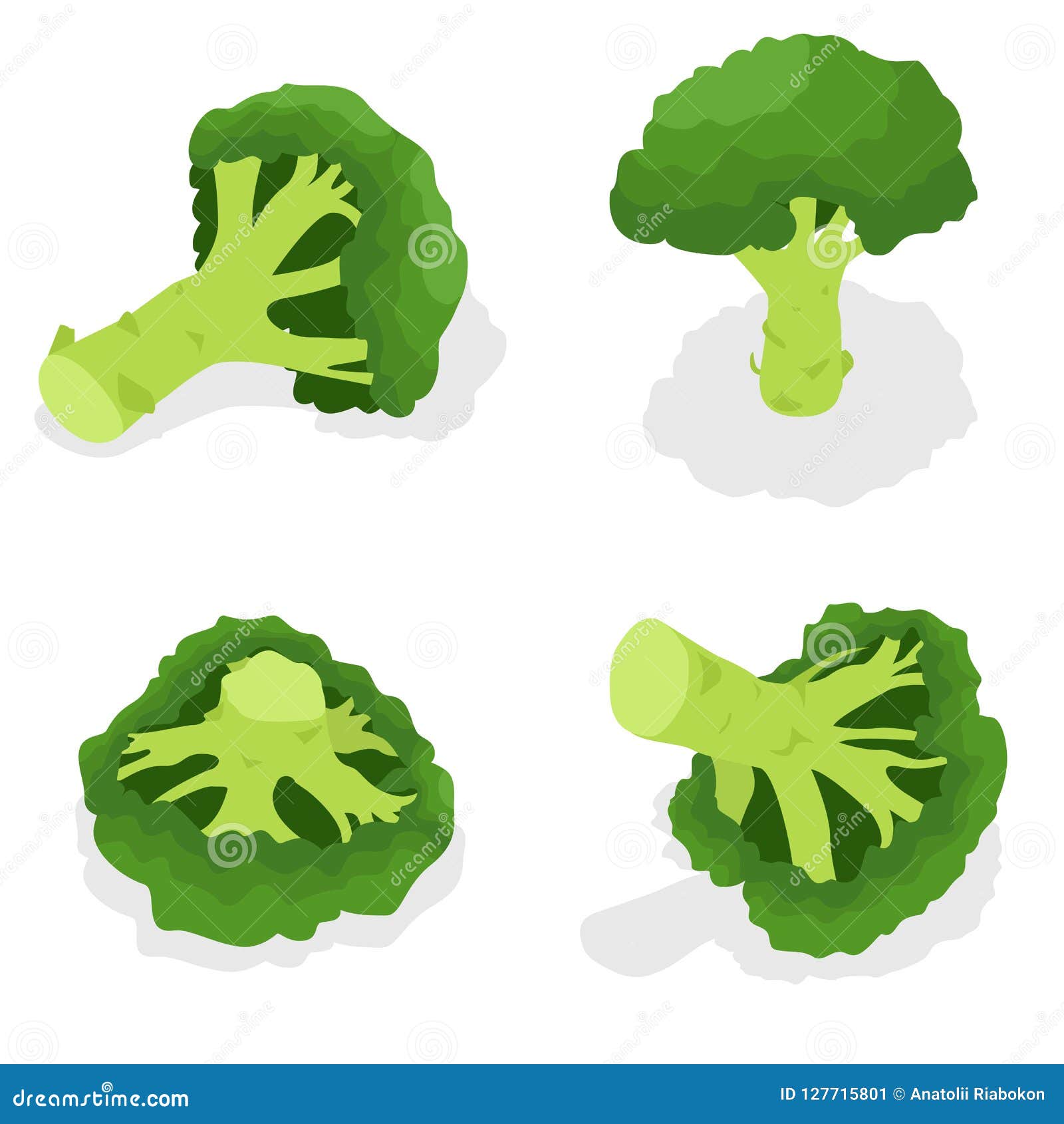 Broccoli Icon Set, Isometric Style Stock Vector - Illustration of food ...