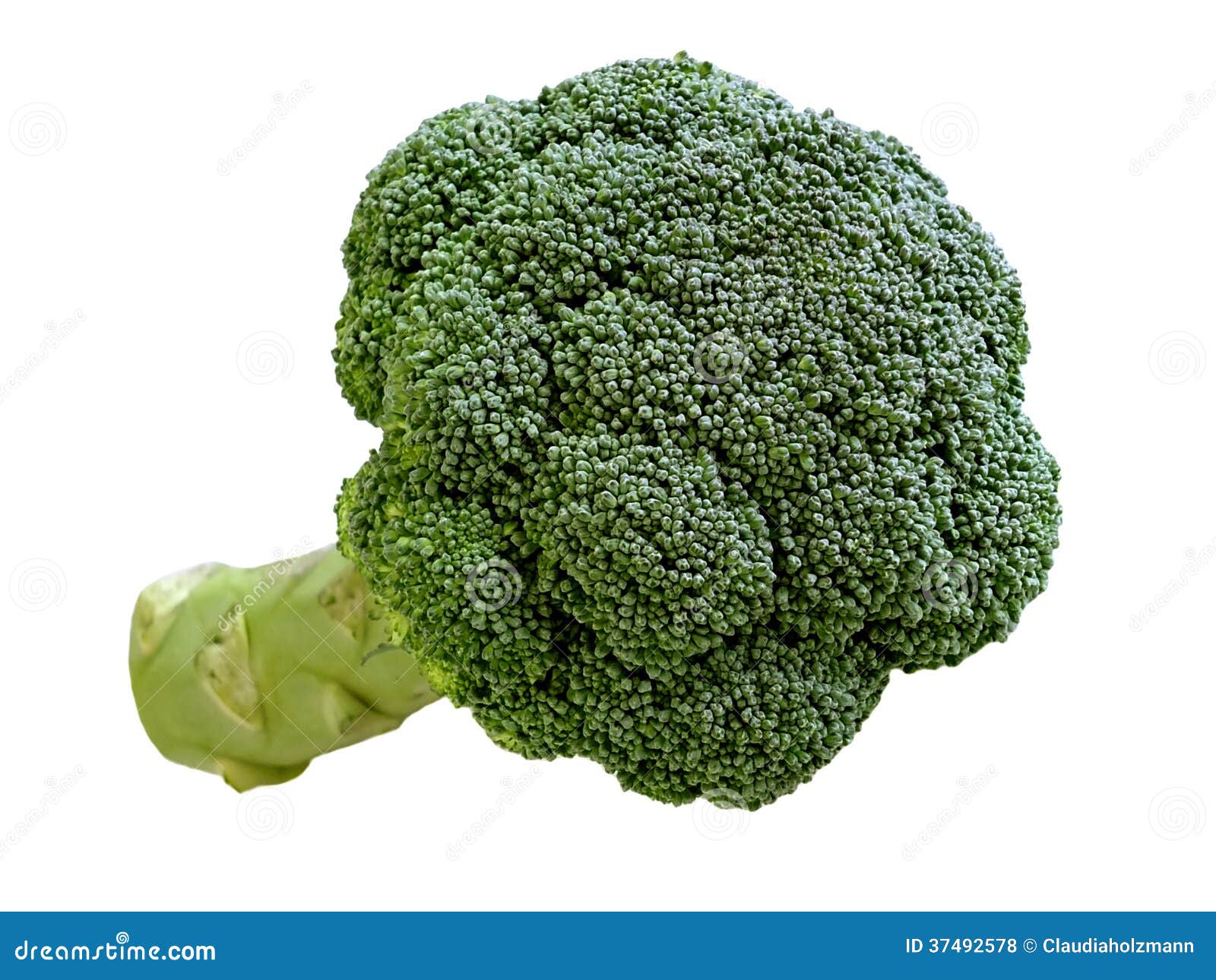 Broccoli stock photo. Image of vegan, diet, harvest, health - 37492578