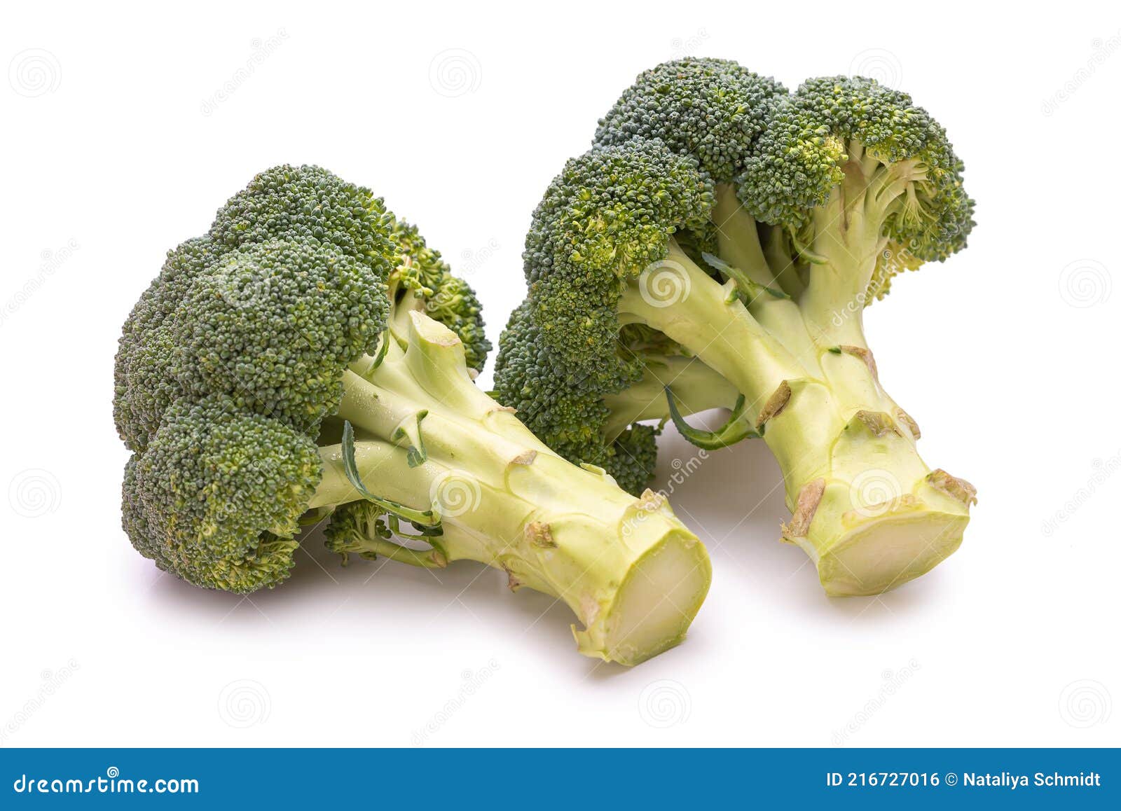 Broccoli. Isolate on White Background Stock Photo - Image of isolated ...
