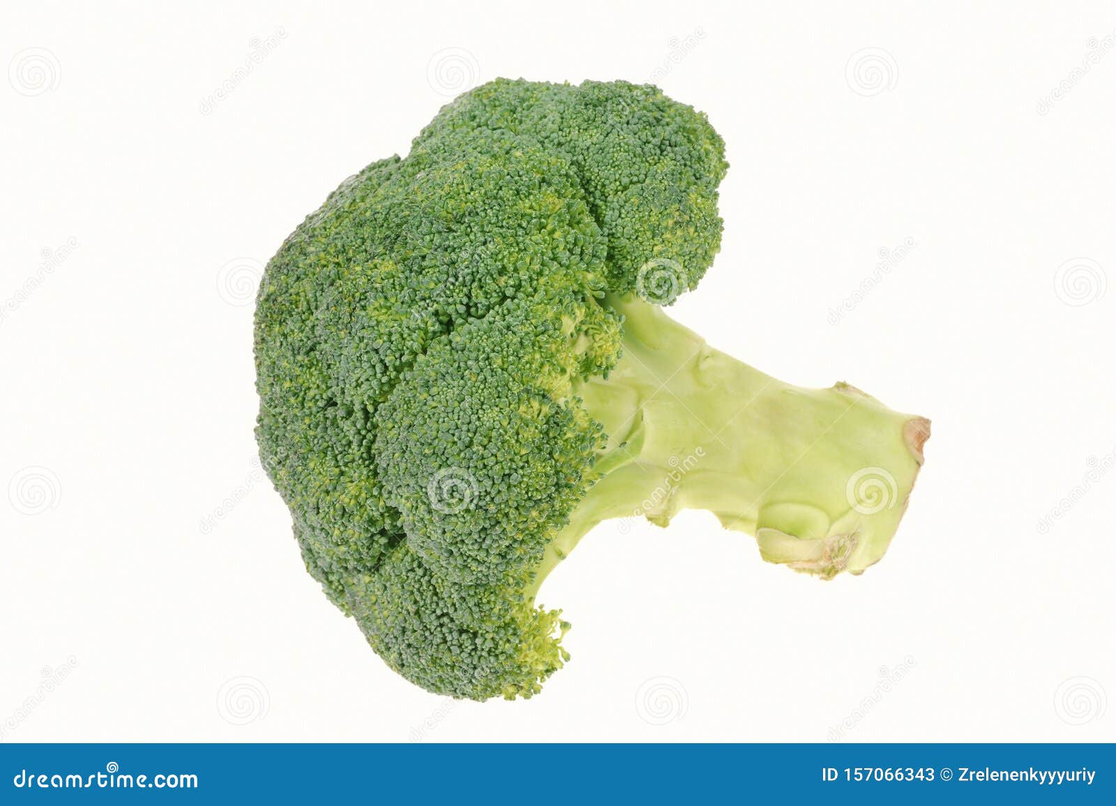 Broccoli isolated on white stock image. Image of food - 157066343