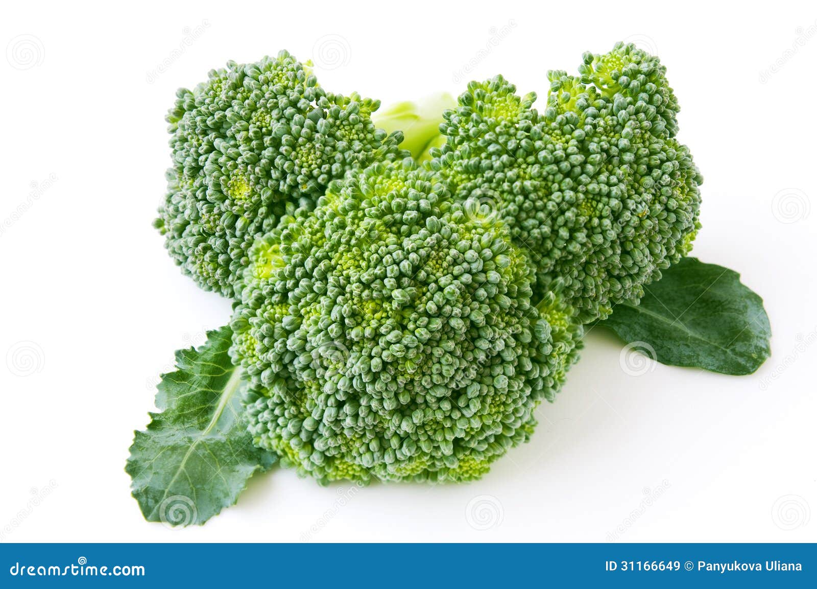 Broccoli stock image. Image of green, diet, detail, broccoli - 31166649