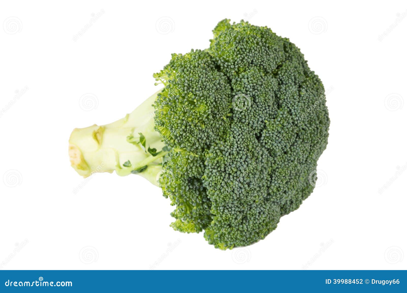 Broccoli stock photo. Image of crispy, color, broccoli - 39988452