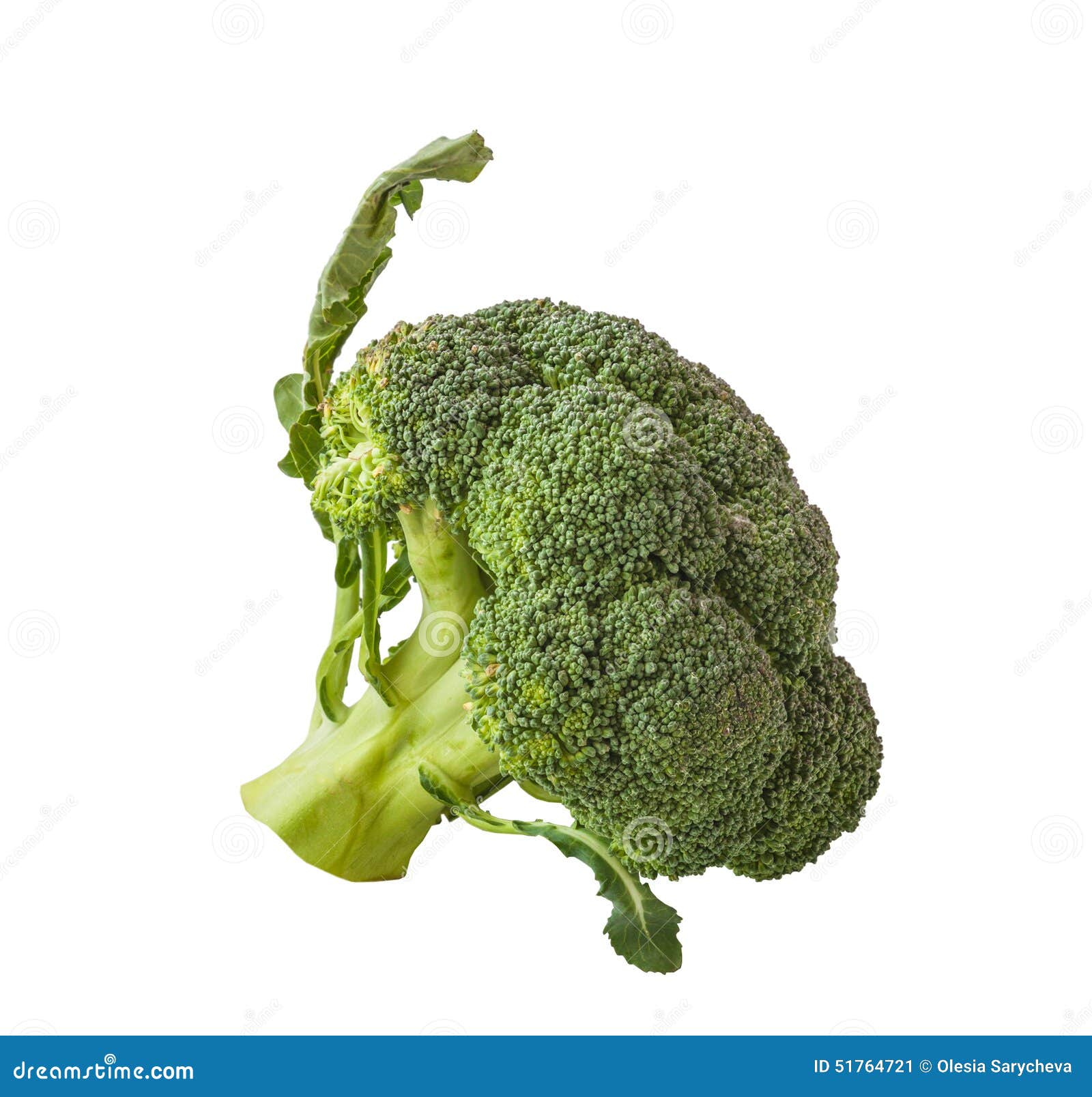 Broccoli isolated stock image. Image of cabbage, ripe - 51764721