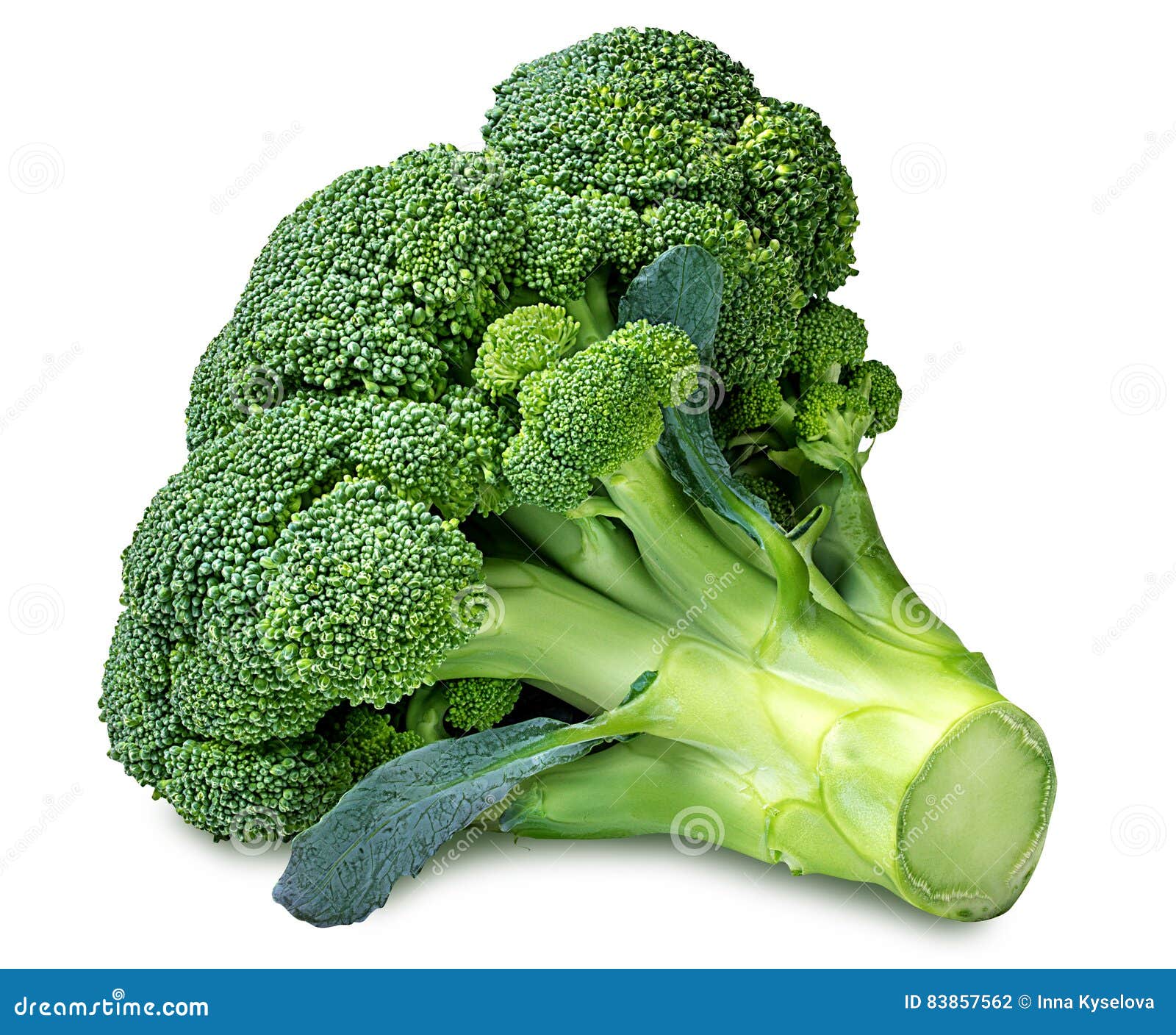 Broccoli isolated on white stock photo. Image of path - 83857562