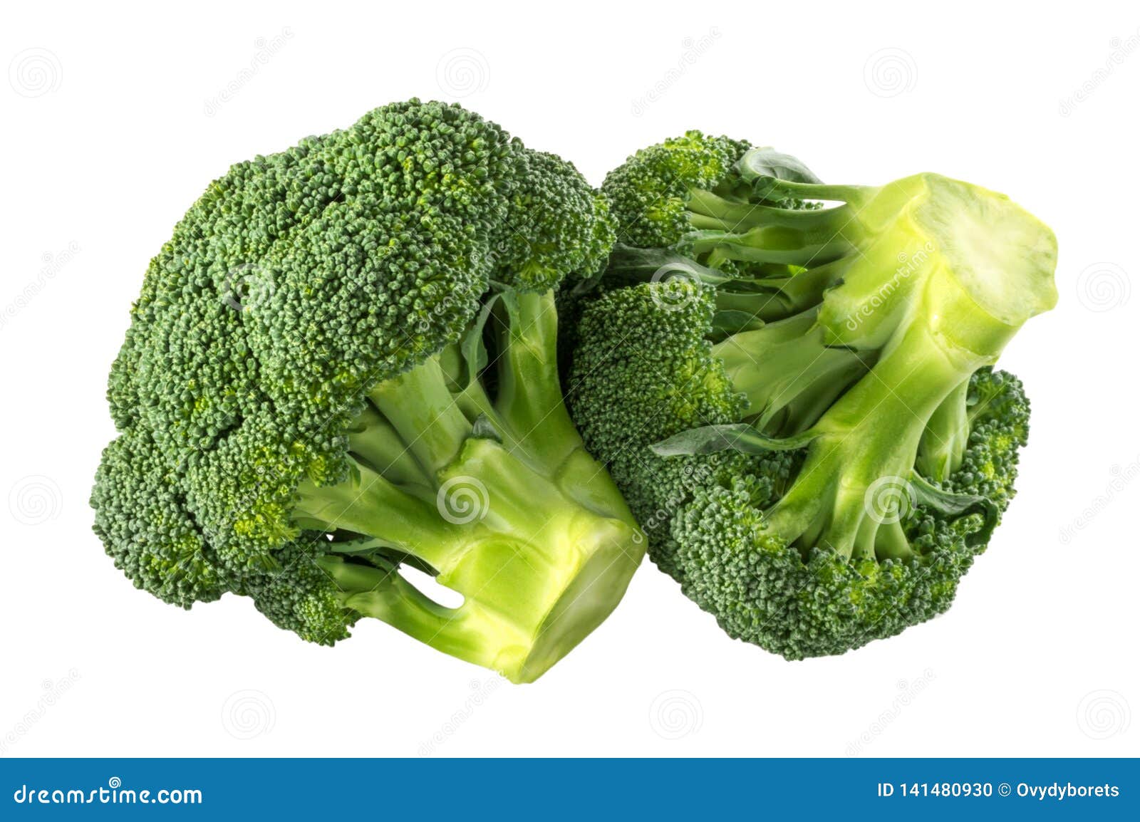 Broccoli Isolated On White Background. Royalty-Free Stock Photography ...