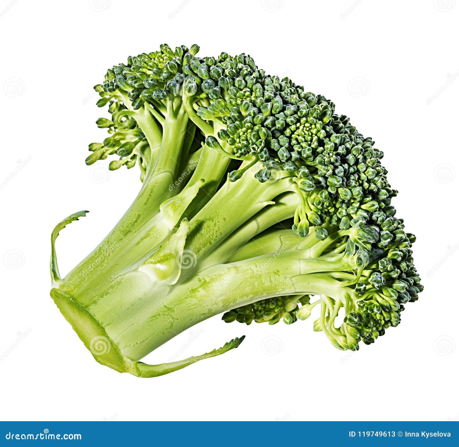 Broccoli isolated on white stock image. Image of clipping - 119749613