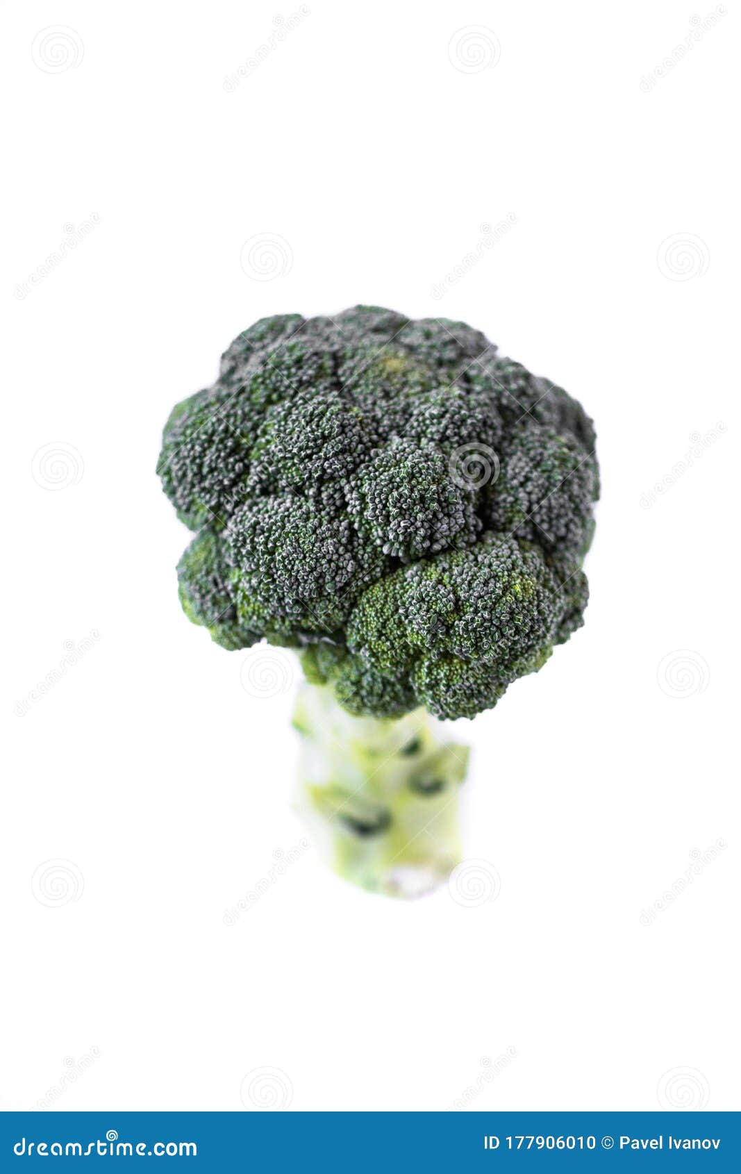 Broccoli isolated on white stock photo. Image of food - 177906010