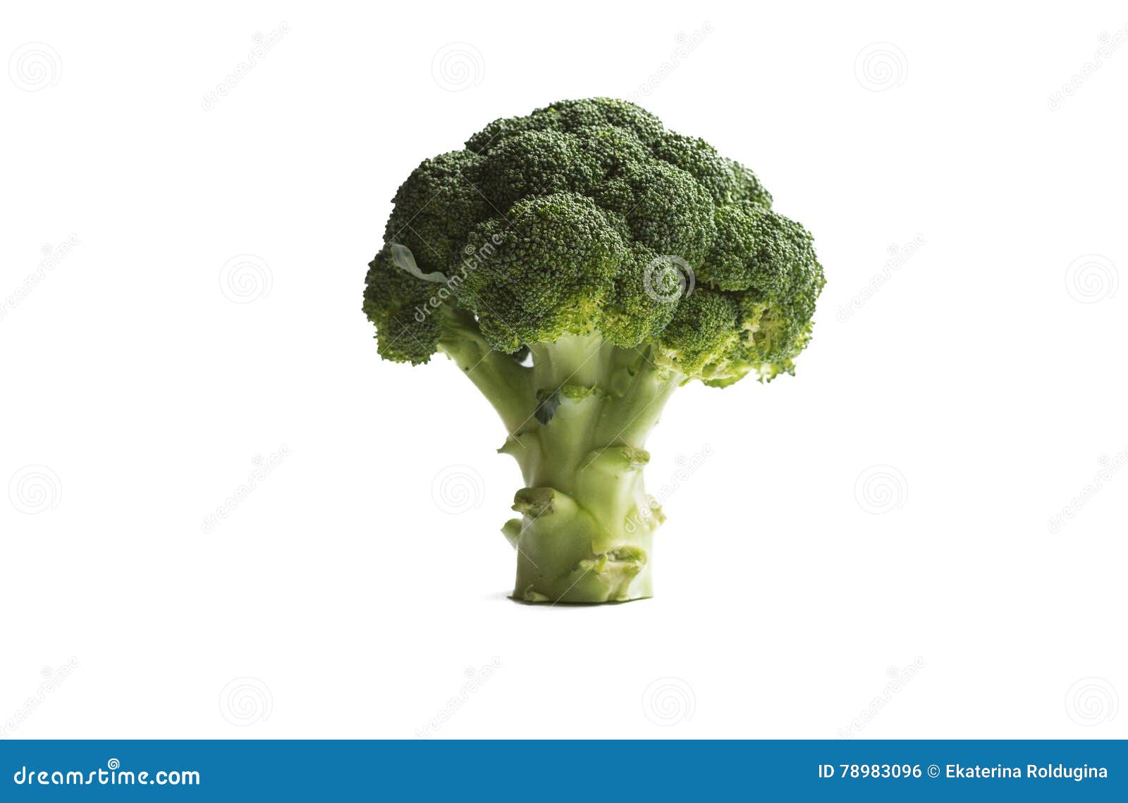 Broccoli Isolated on White. Concept of Tree Stock Photo - Image of ...