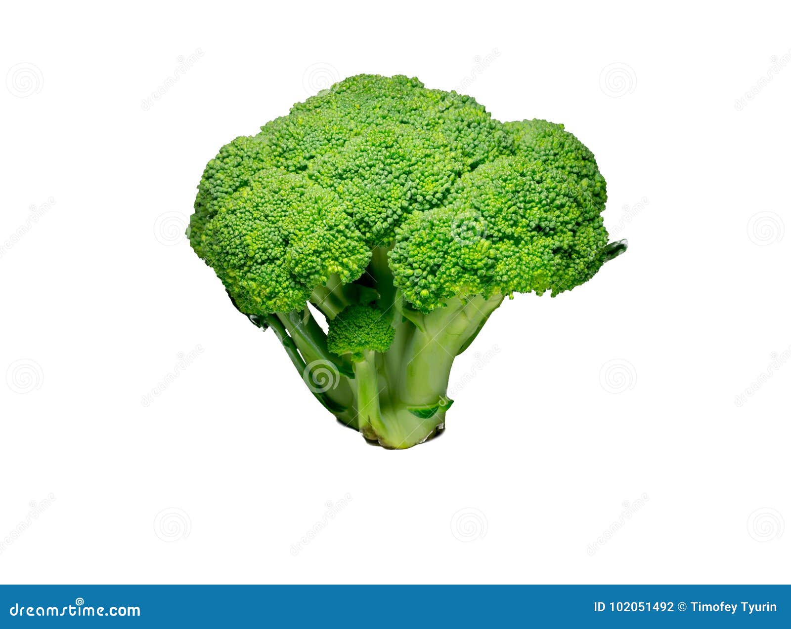 Broccoli Isolated on White. Food, Object. Stock Photo - Image of ...