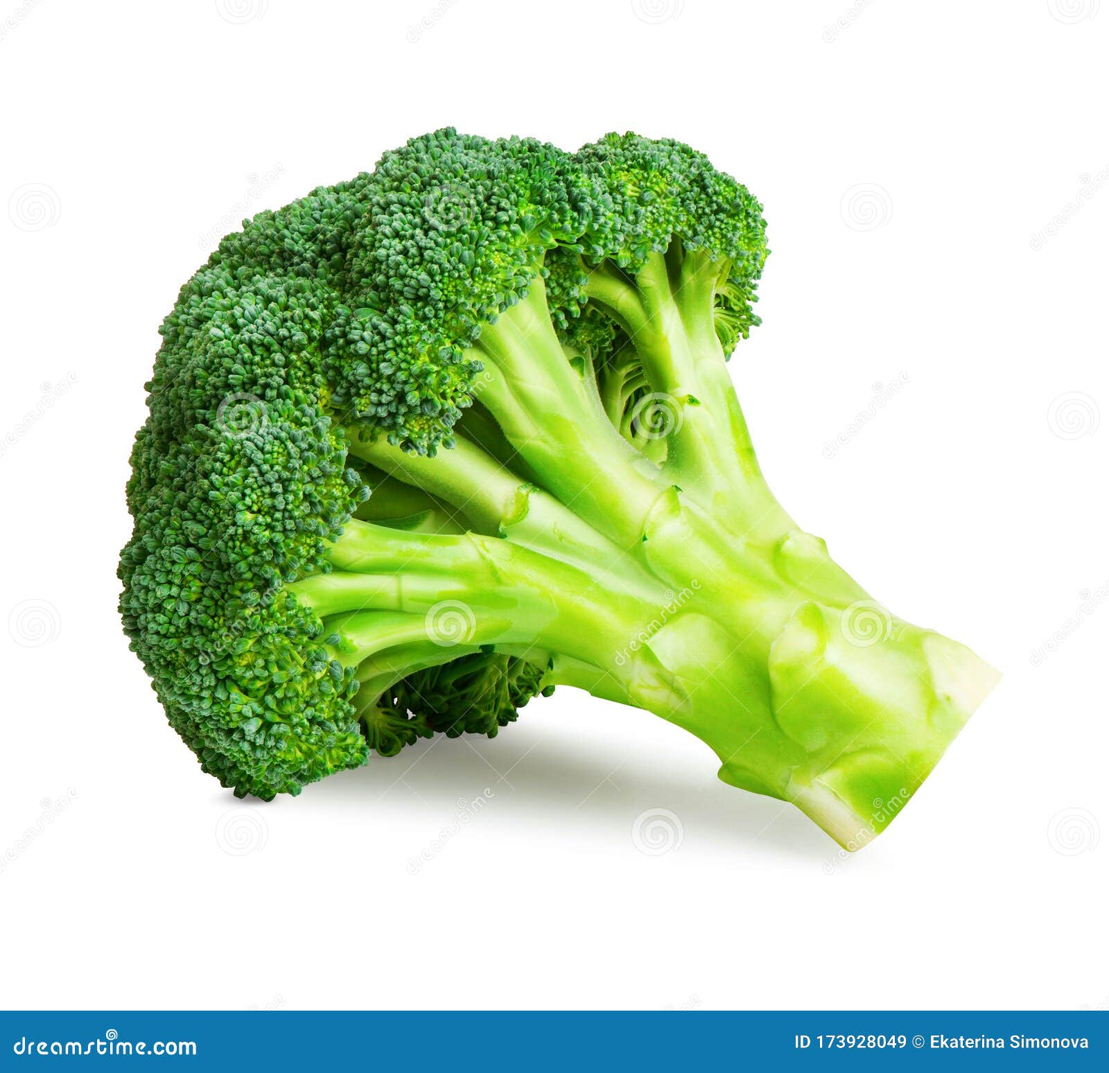 Broccoli isolated on white stock image. Image of broccoli - 173928049