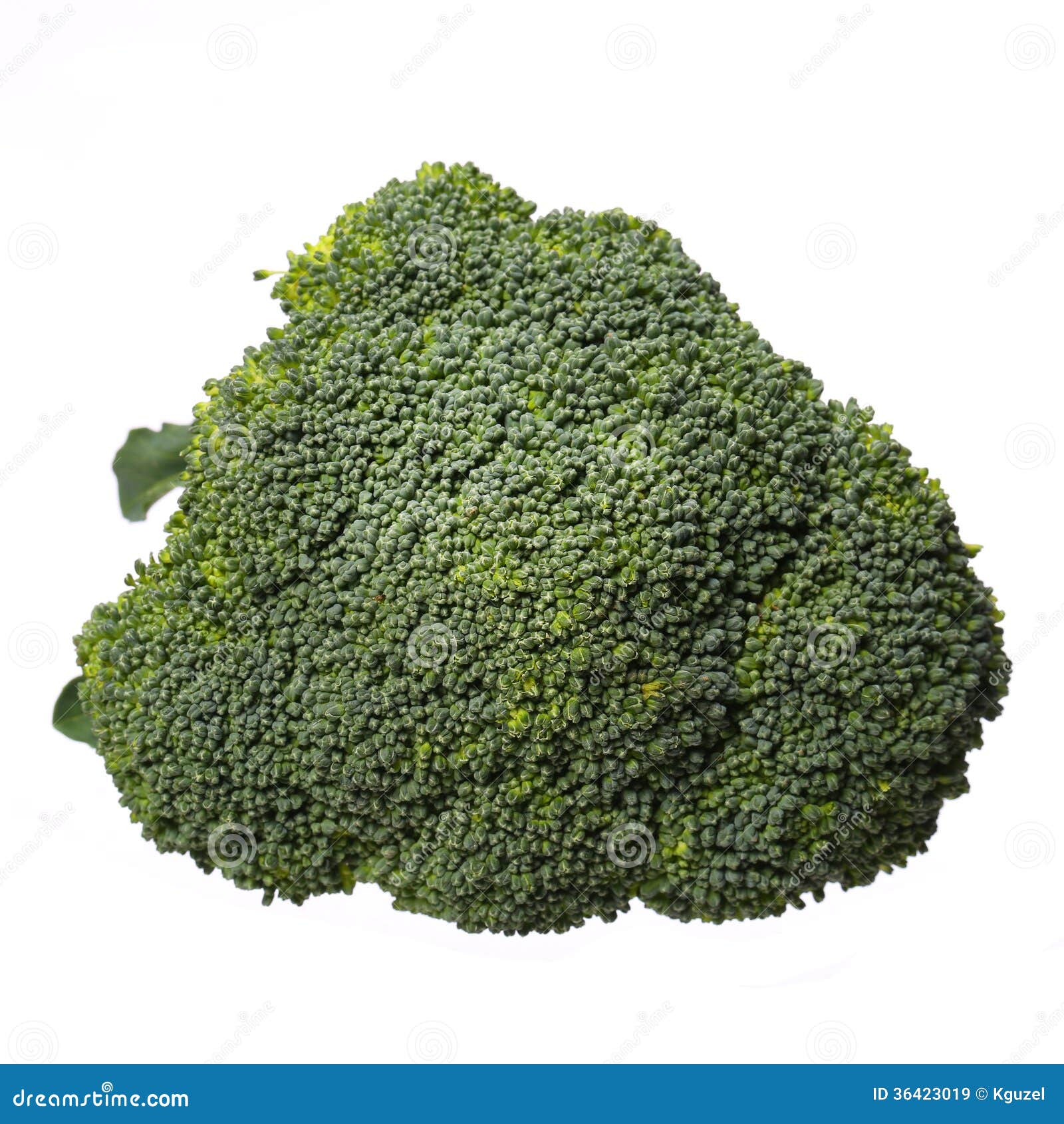 Broccoli. Isolated on White Stock Image - Image of slice, organic: 36423019