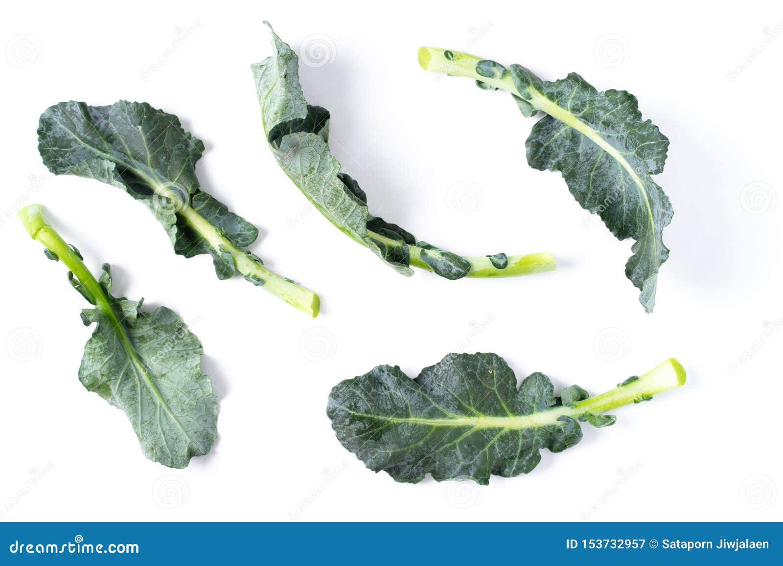Broccoli Leaves Isolated on White Stock Image - Image of green, natural ...