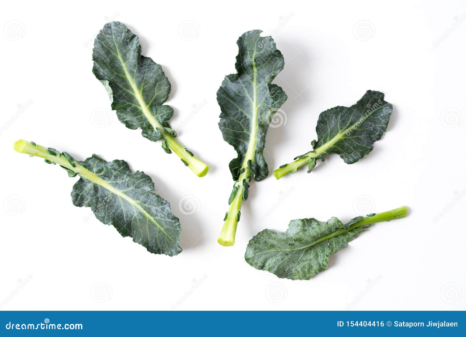 Broccoli Leaves Isolated on White Stock Photo - Image of garden, health ...
