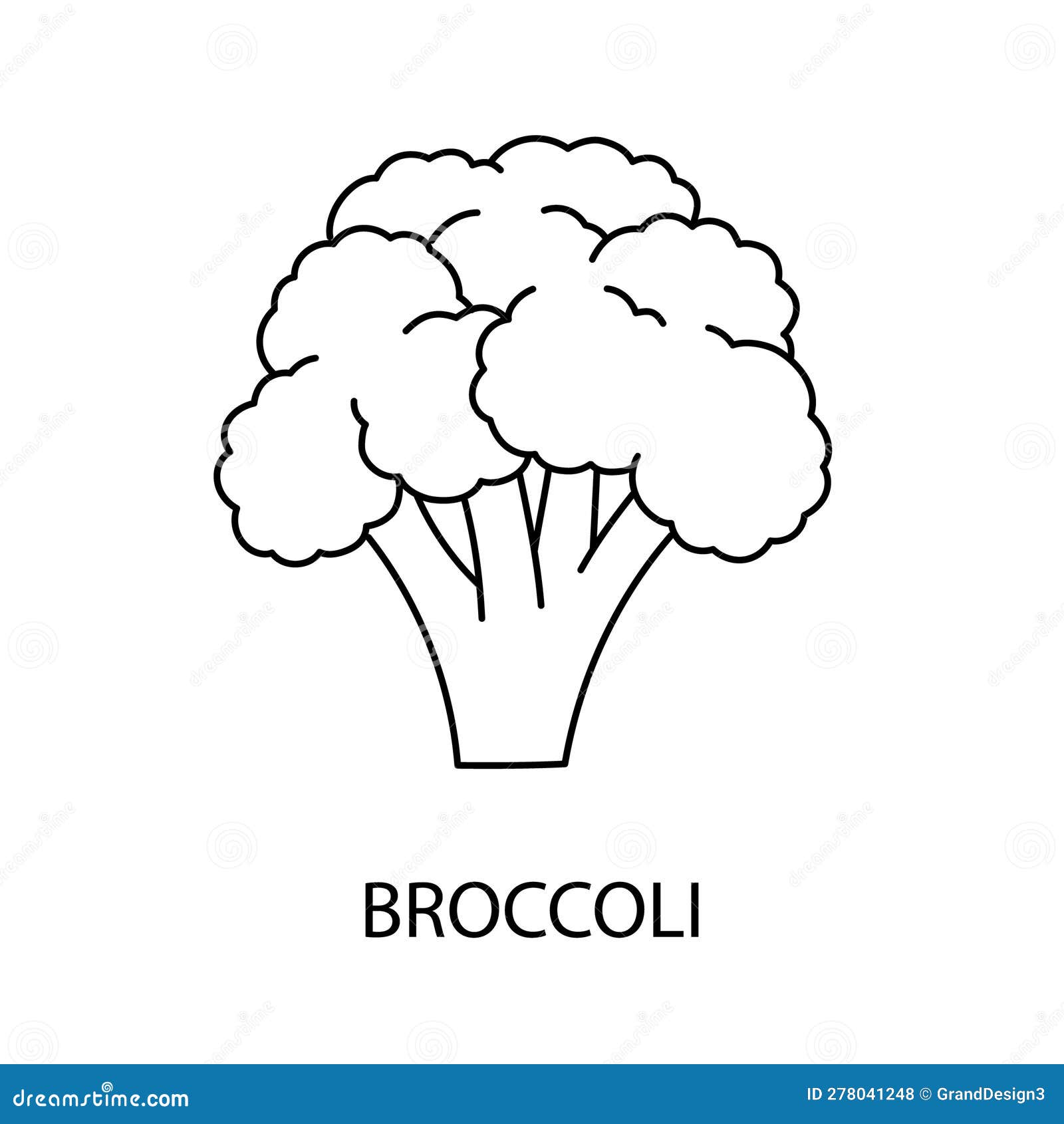 Broccoli Line Icon in Vector, Vegetable Illustration. Stock Vector ...