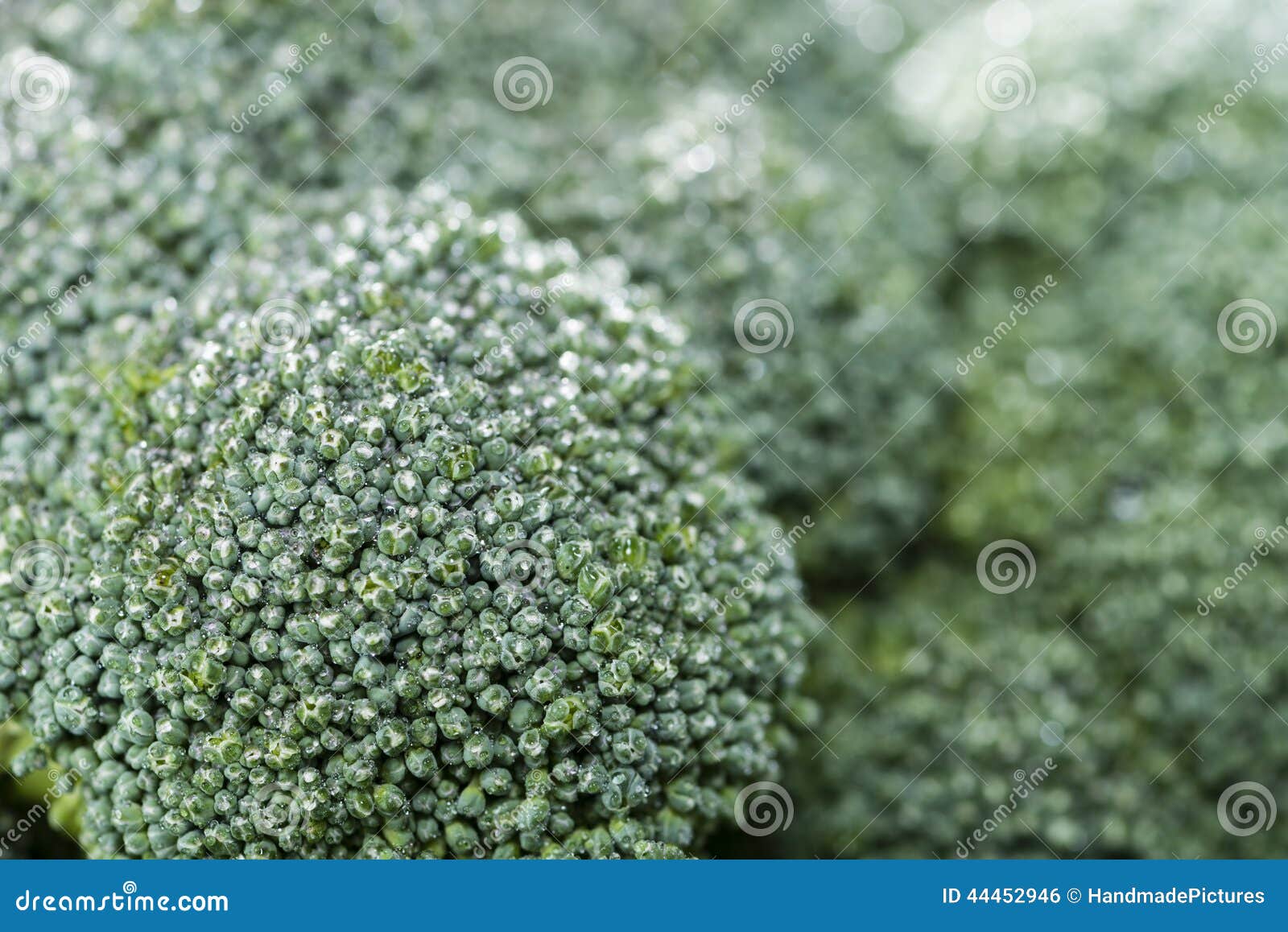 Broccoli macro shot stock photo. Image of edible, macro - 44452946