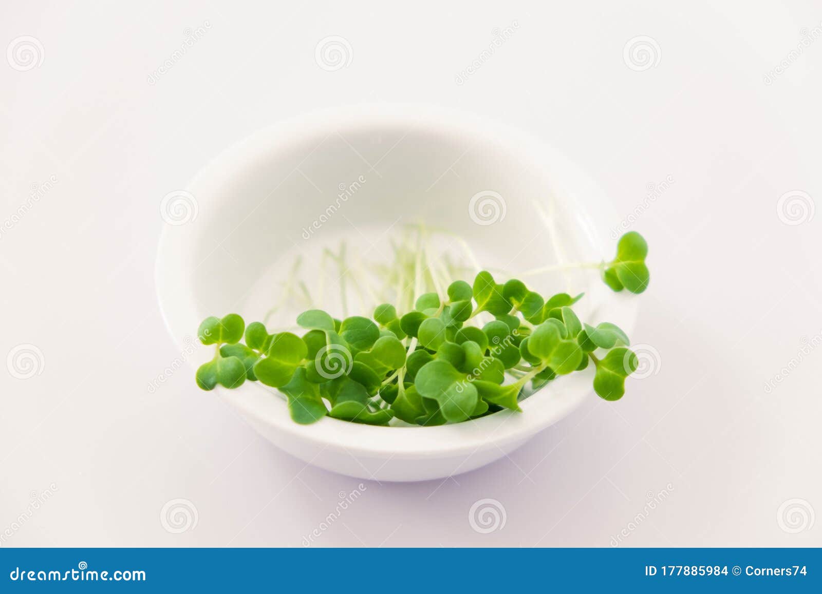 Broccoli Microgreens Super Food in a Simple White Dish Isolated Stock ...