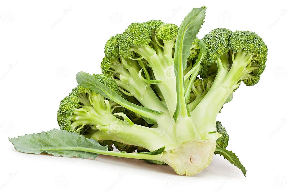 Broccoli one single stock image. Image of stem, vegetarian - 34296859