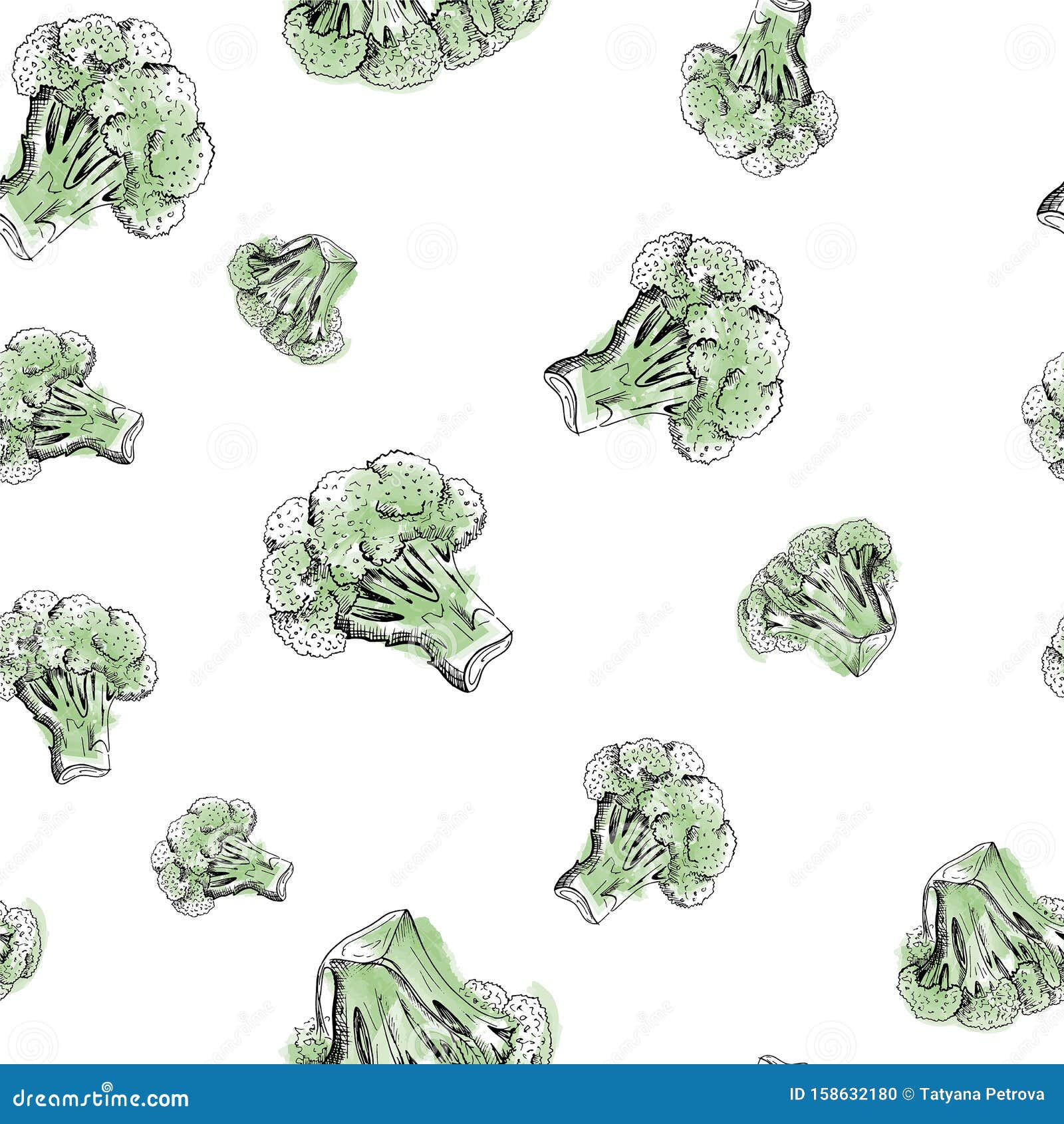 Broccoli Pattern. Hand Drawn Green Vegetables Broccoli on the White ...